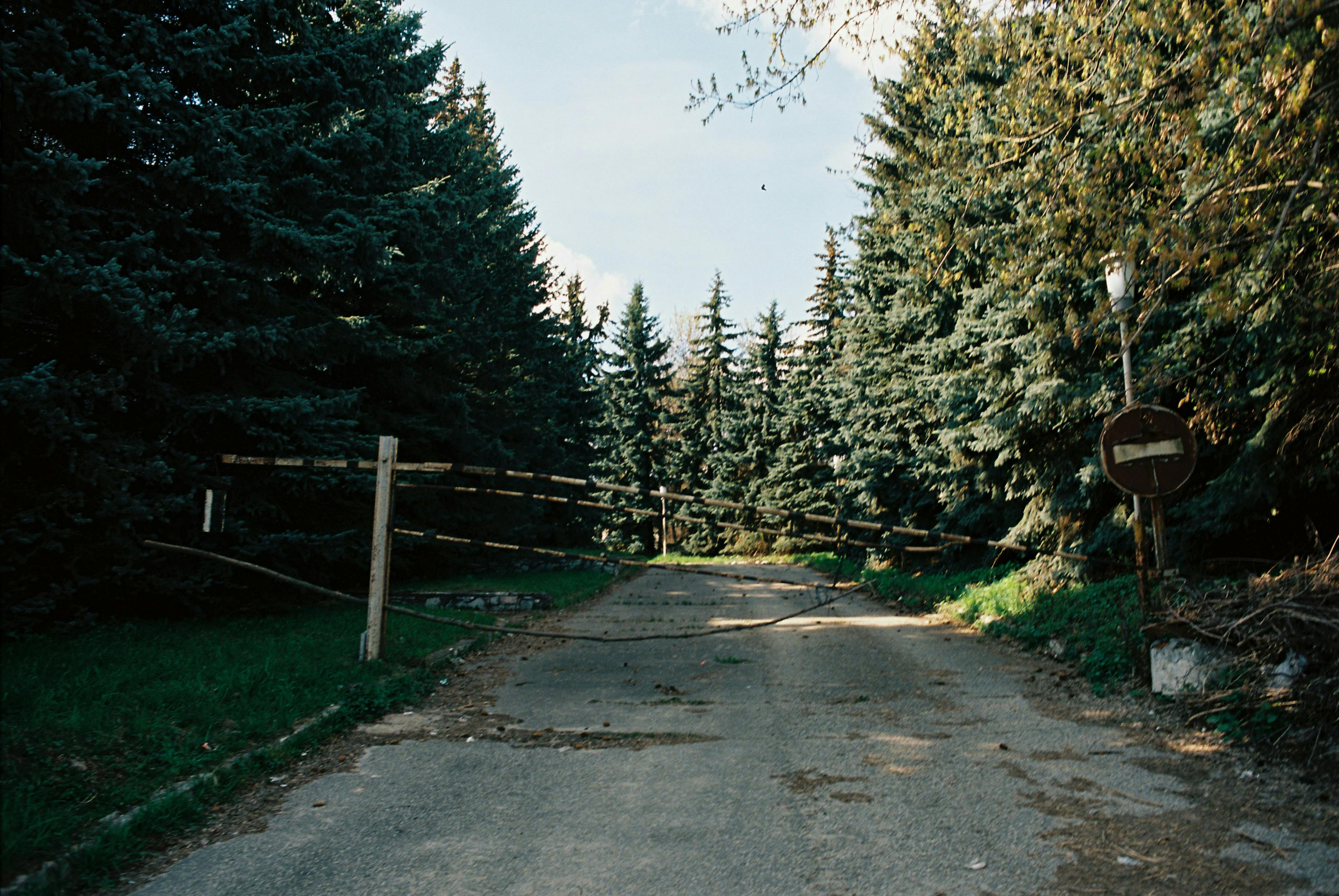 Broken Roadside Barriers on a Road in a Forest · Free Stock Photo