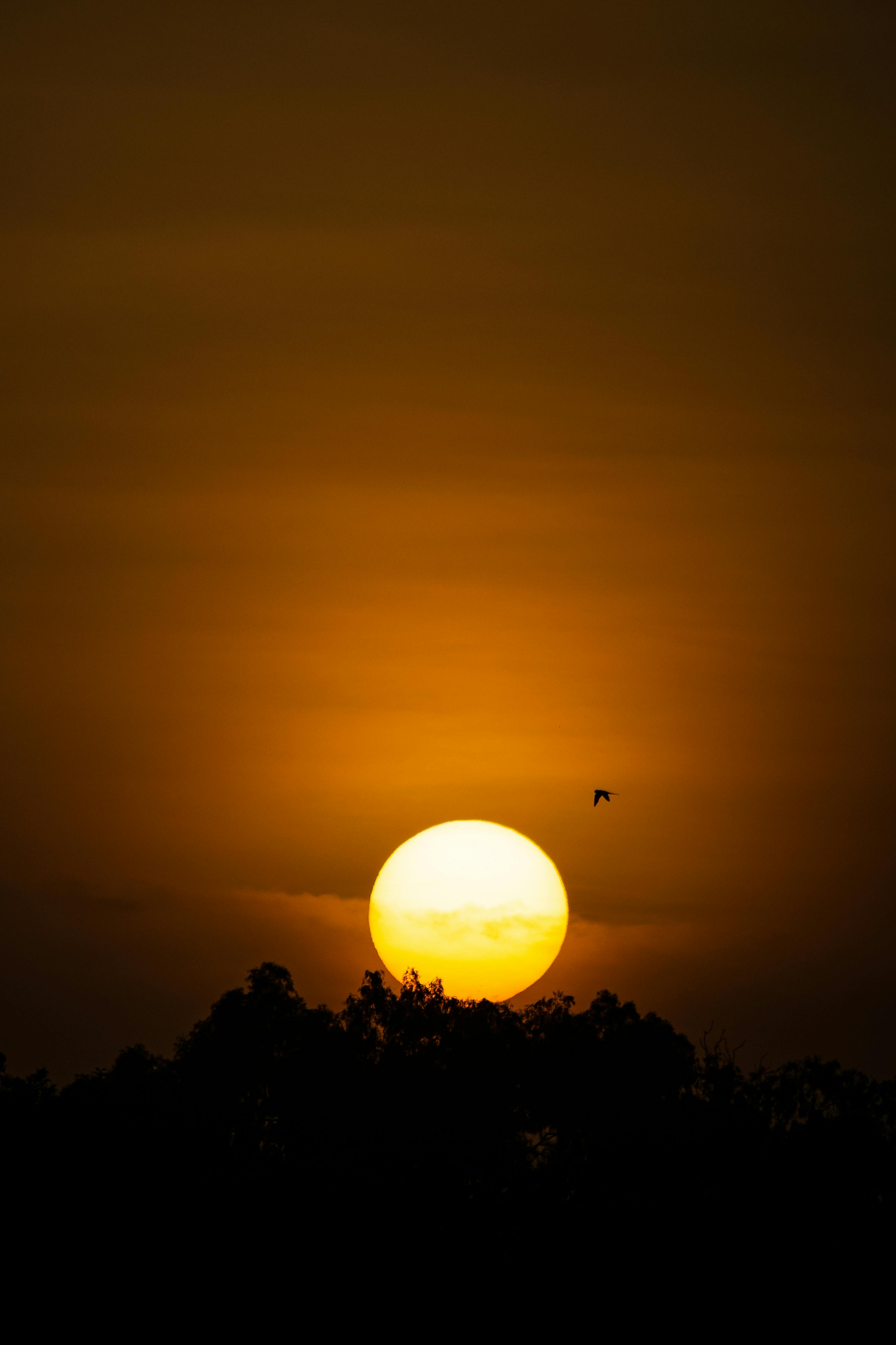 Crescent Sun Photos, Download Free Crescent Sun Stock Photos & HD Images