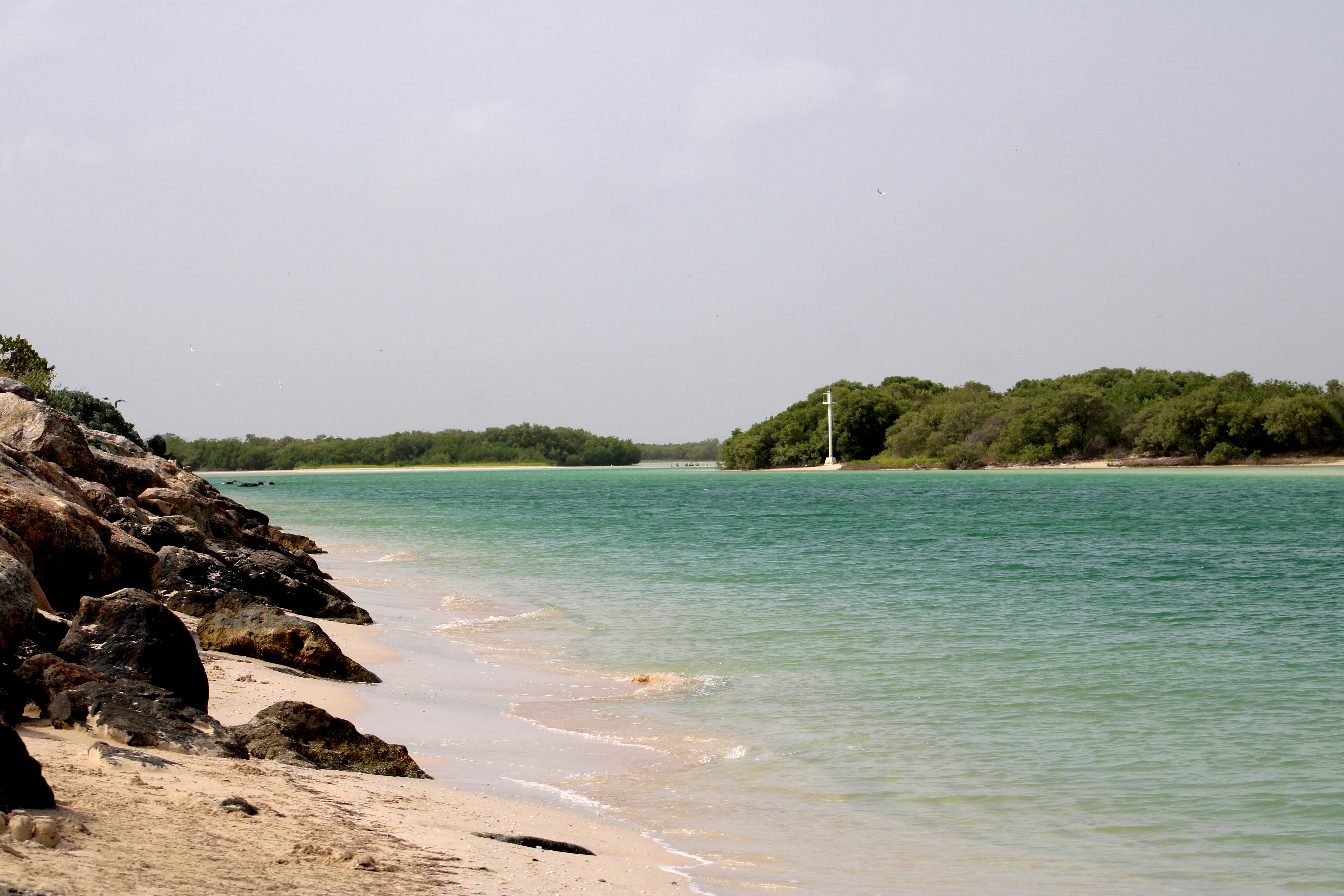 Sailboats in Bay · Free Stock Photo