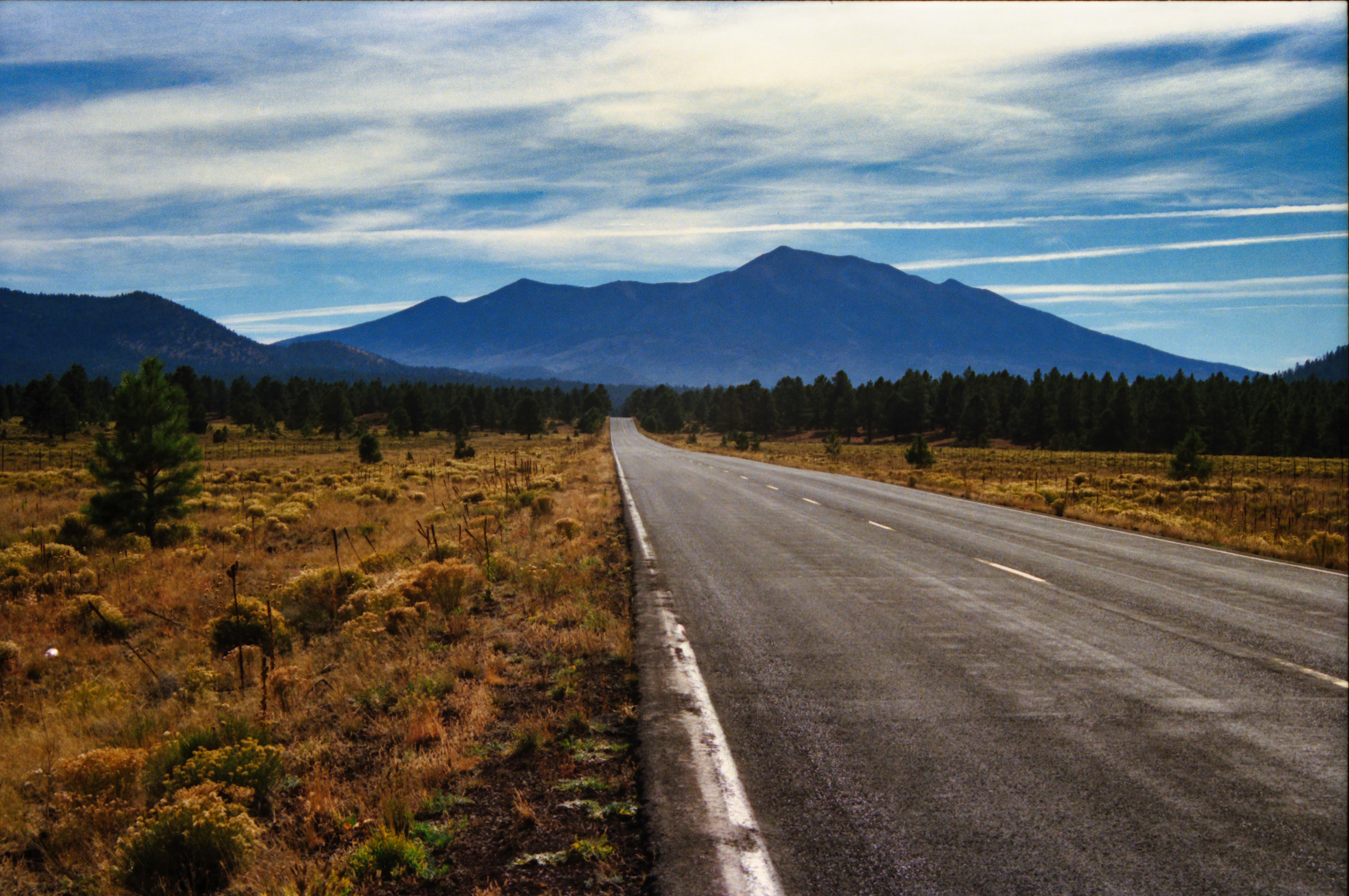 A Concrete Road between a Grassy Field · Free Stock Photo