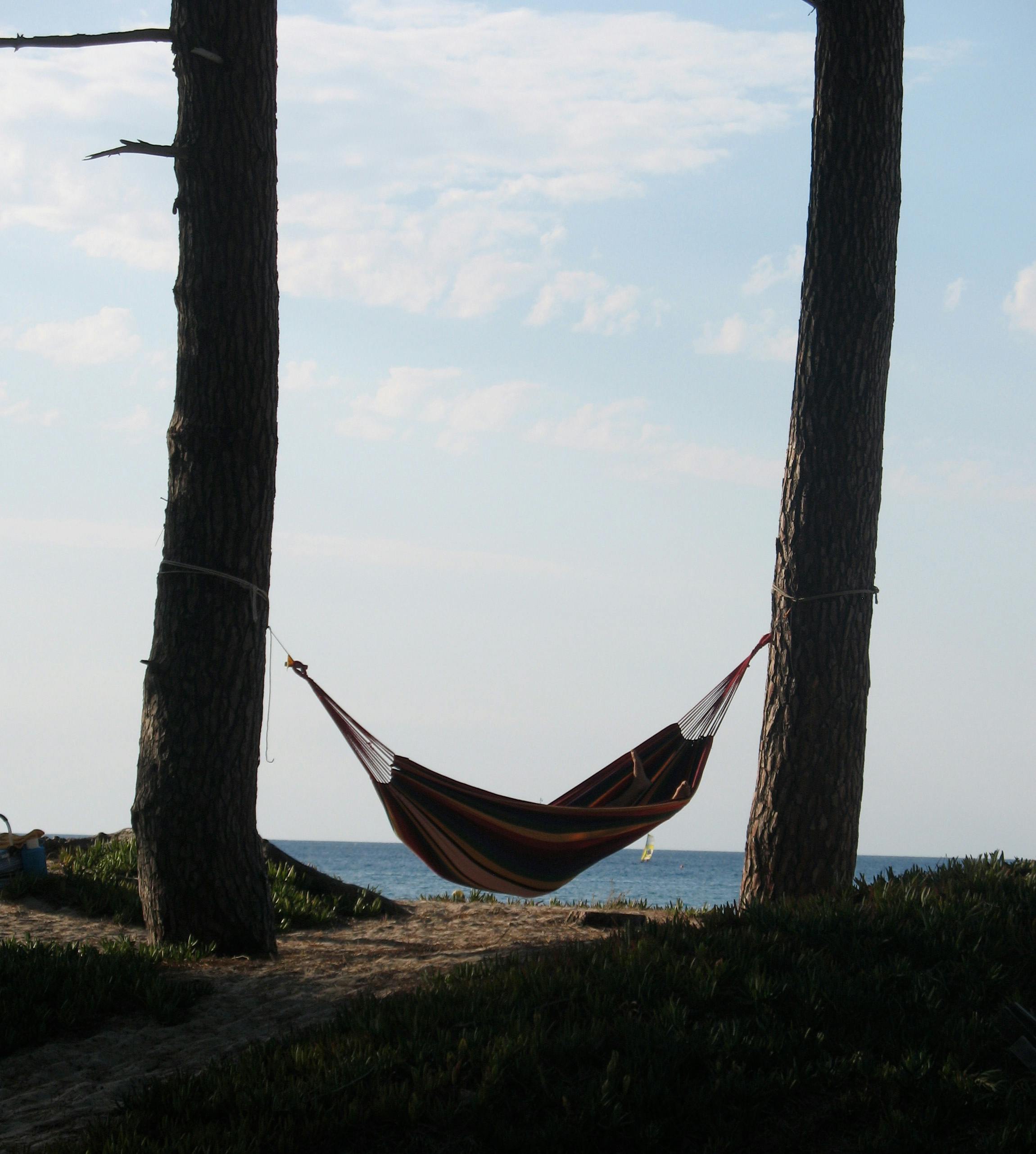 A Hammock Tied between Trees · Free Stock Photo