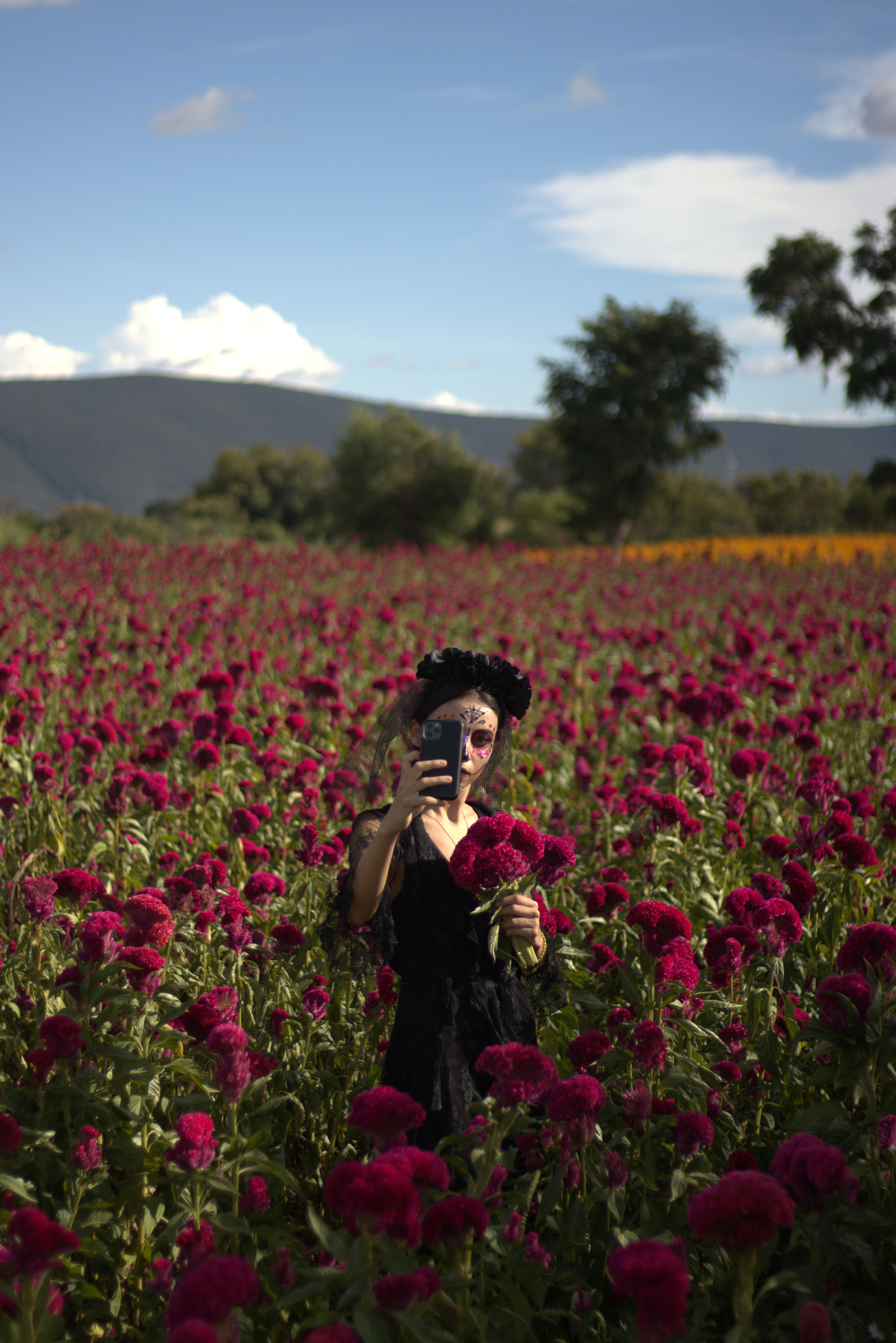 Holding Phone Landscape Photos, Download The BEST Free Holding Phone ...