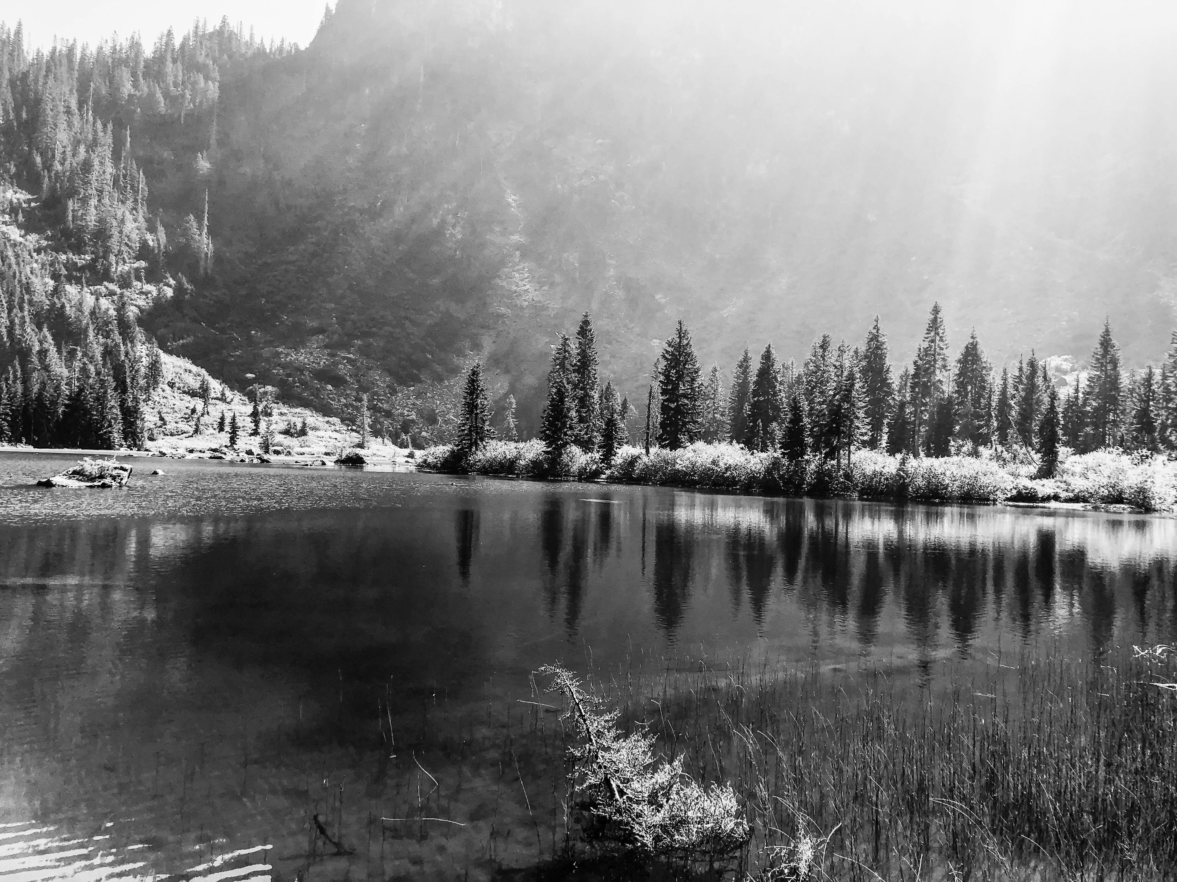 Nathan Reynolds - Fotografía