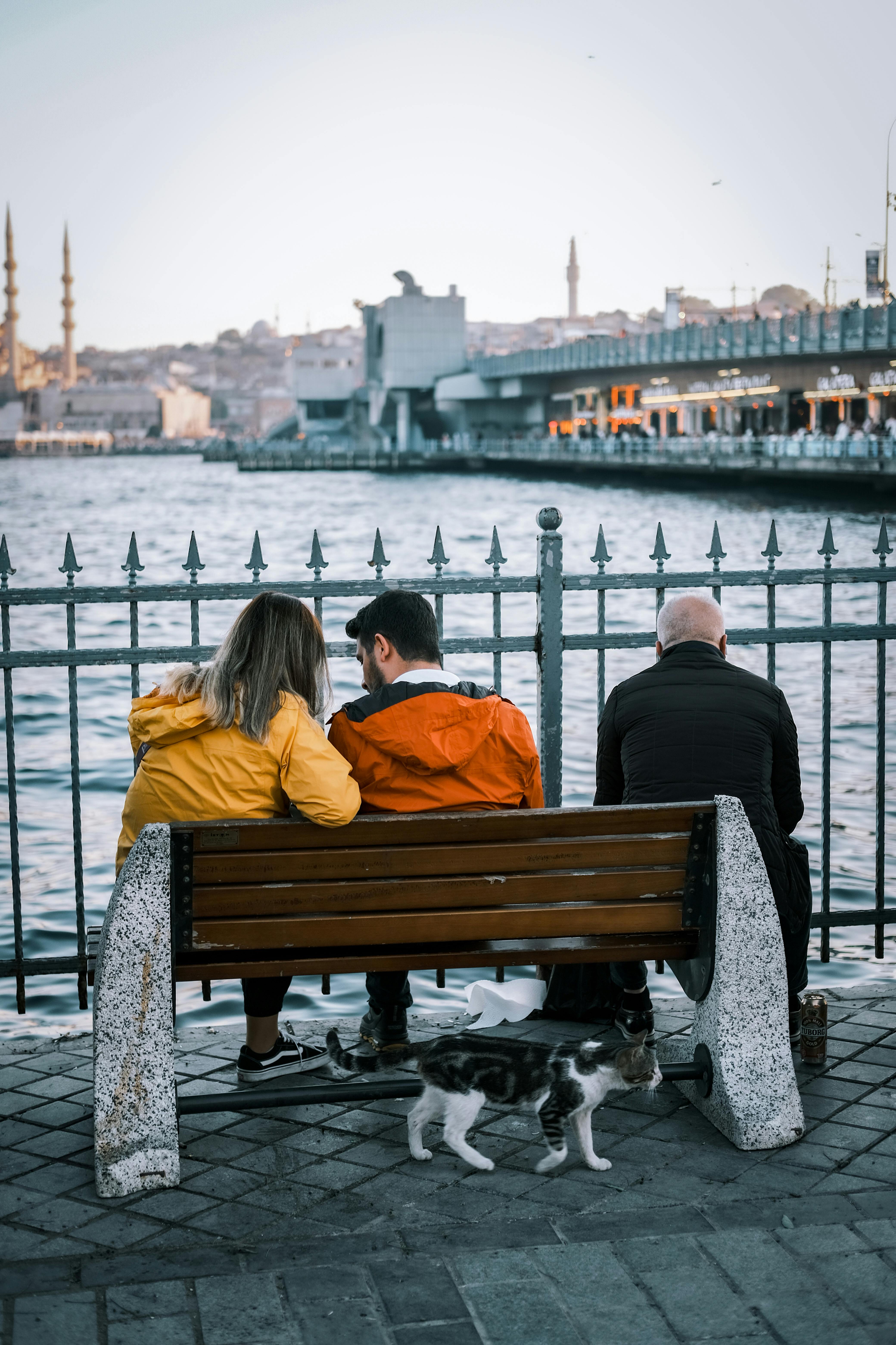 A Man Sitting on a Bench in a City · Free Stock Photo