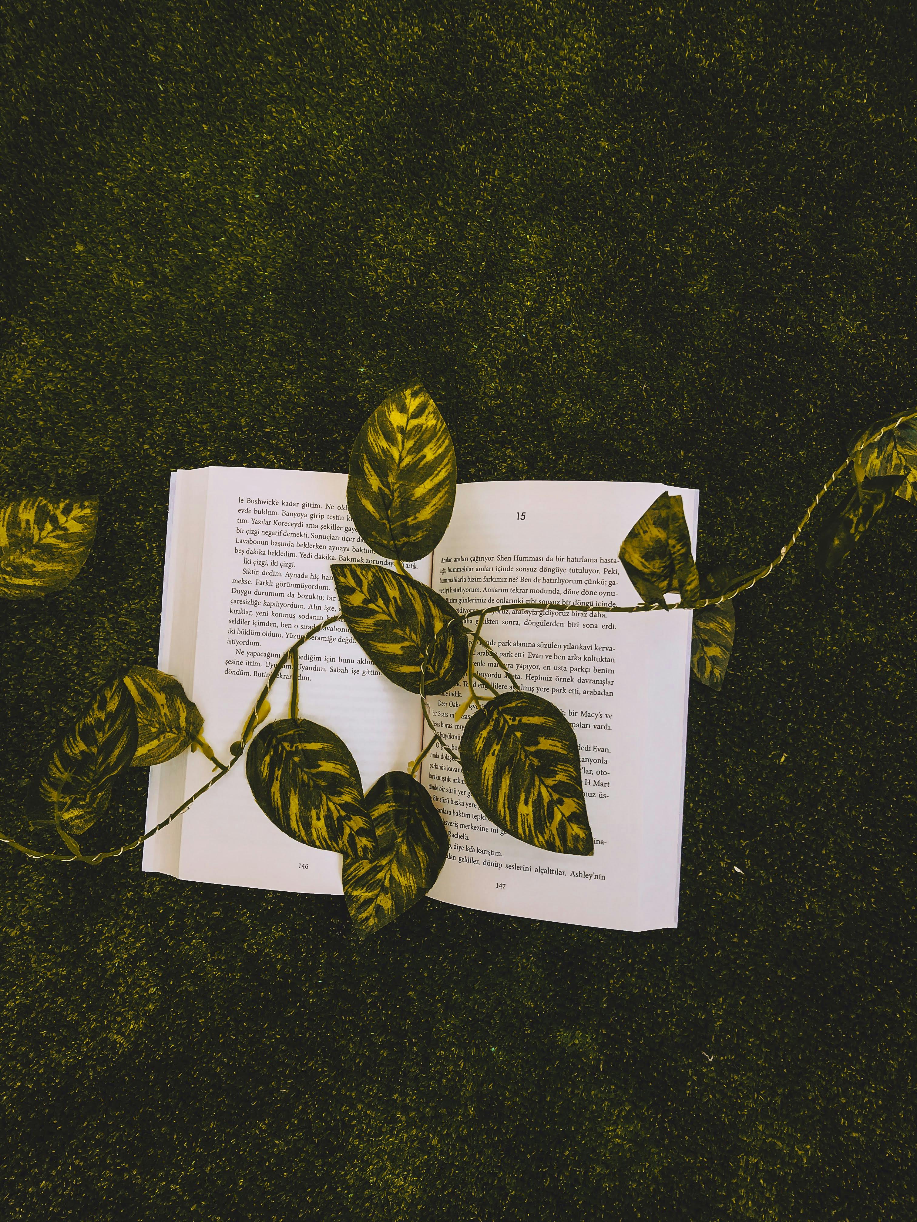 High Angle Shot of an Open Book · Free Stock Photo