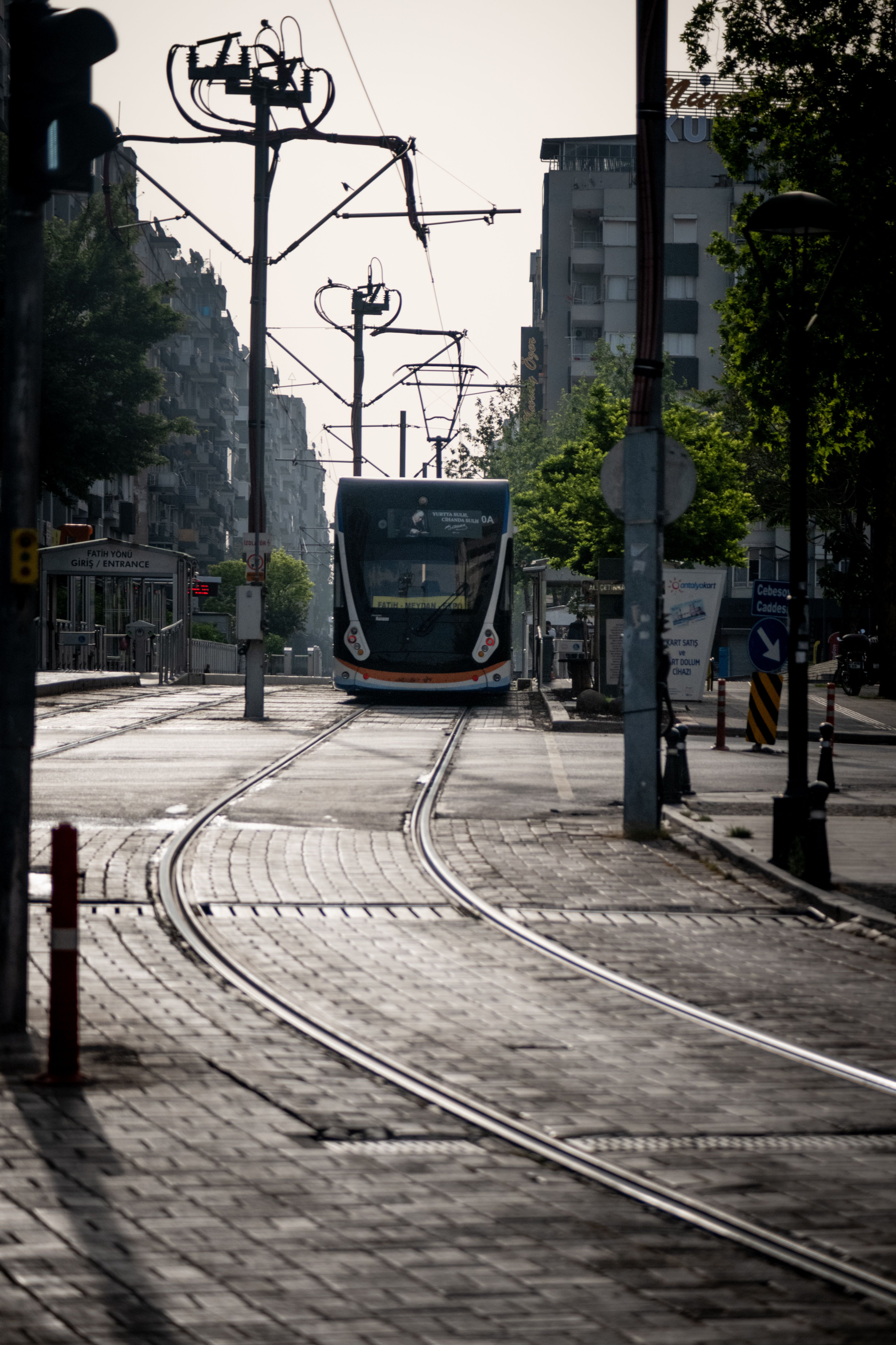 A Tram on the Road · Free Stock Photo