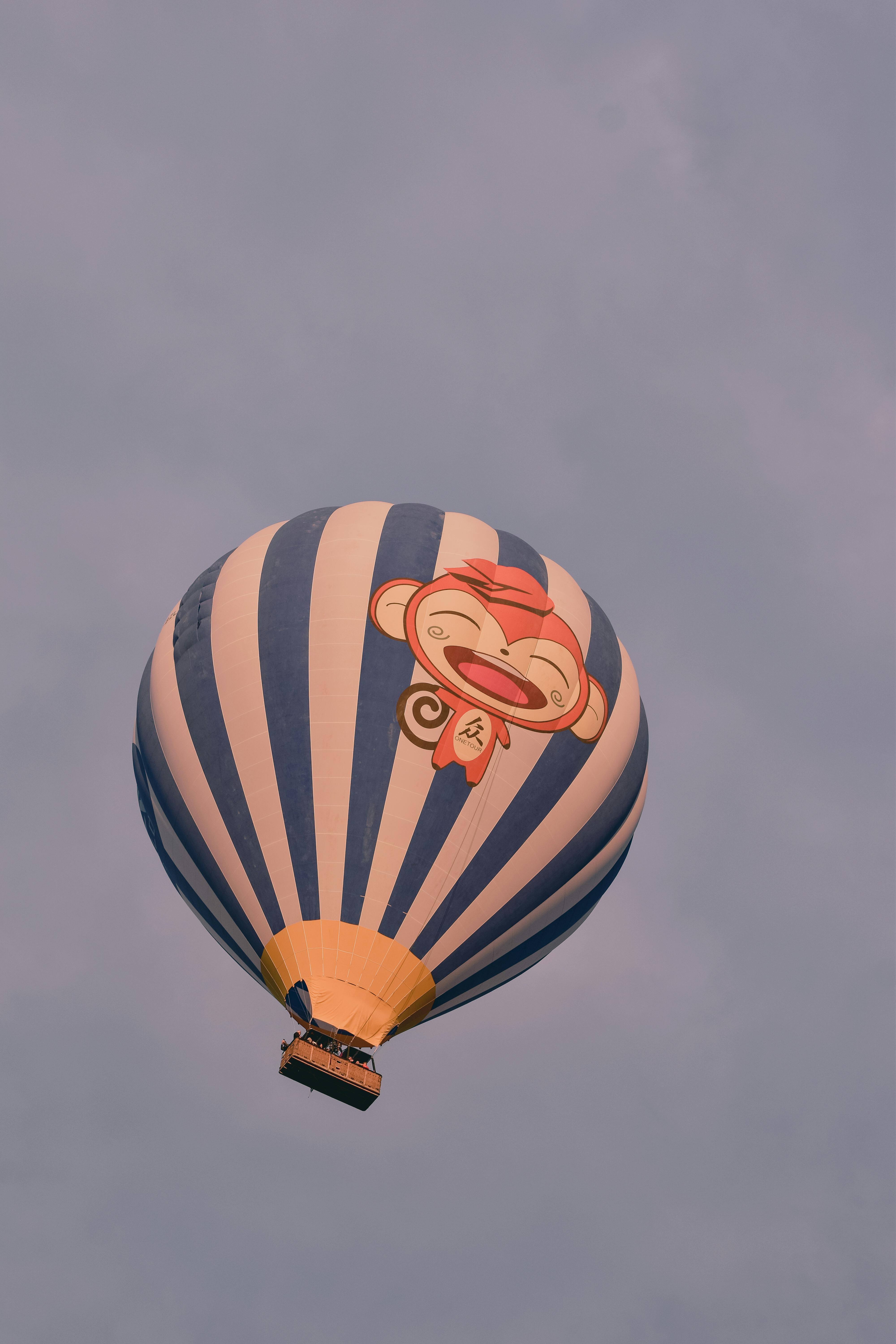 Balloons in the Sky · Free Stock Photo