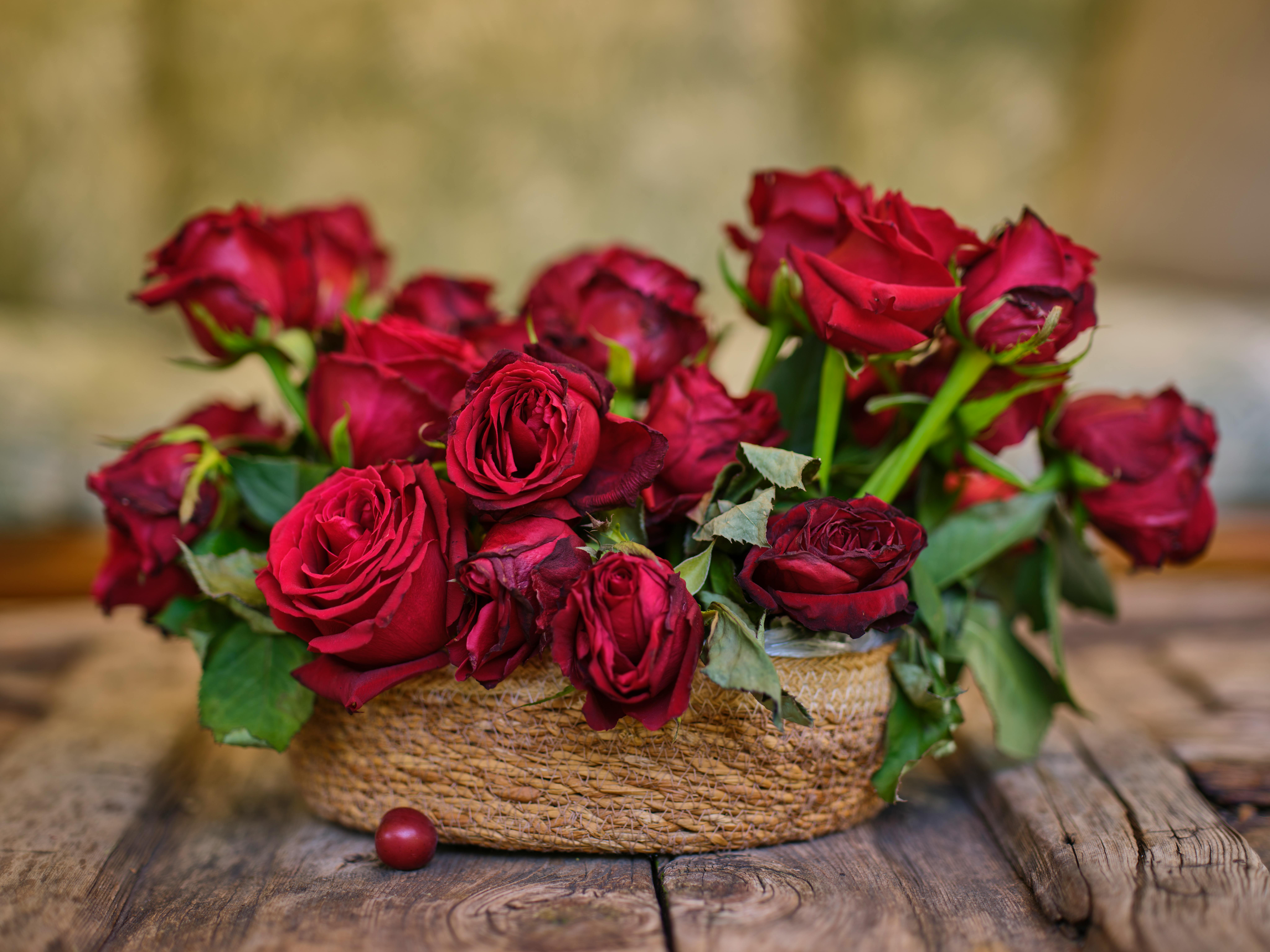 Close-Up Shot of Blooming Red Roses on Woven Basket · Free Stock Photo