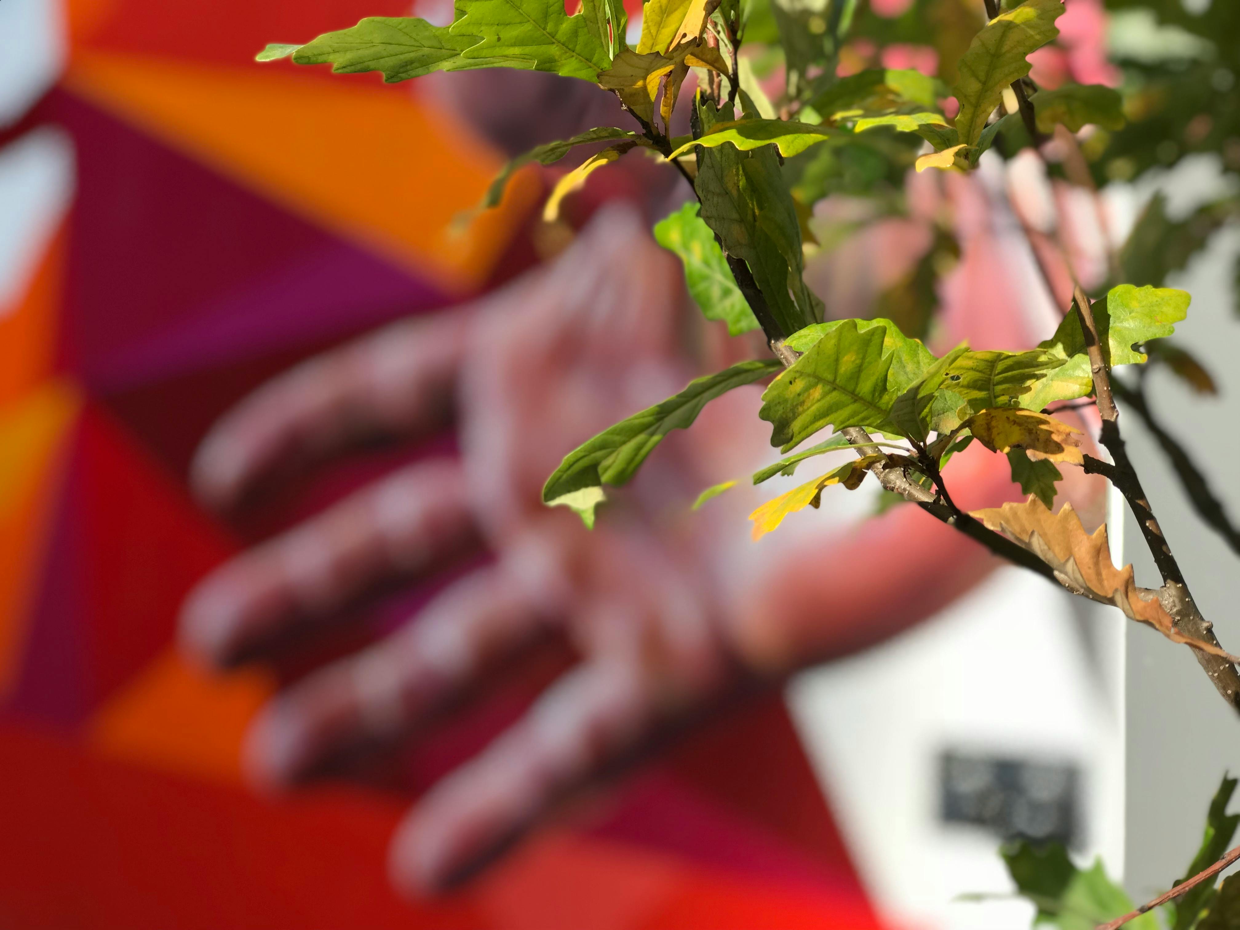 Jason Edwards - Photography