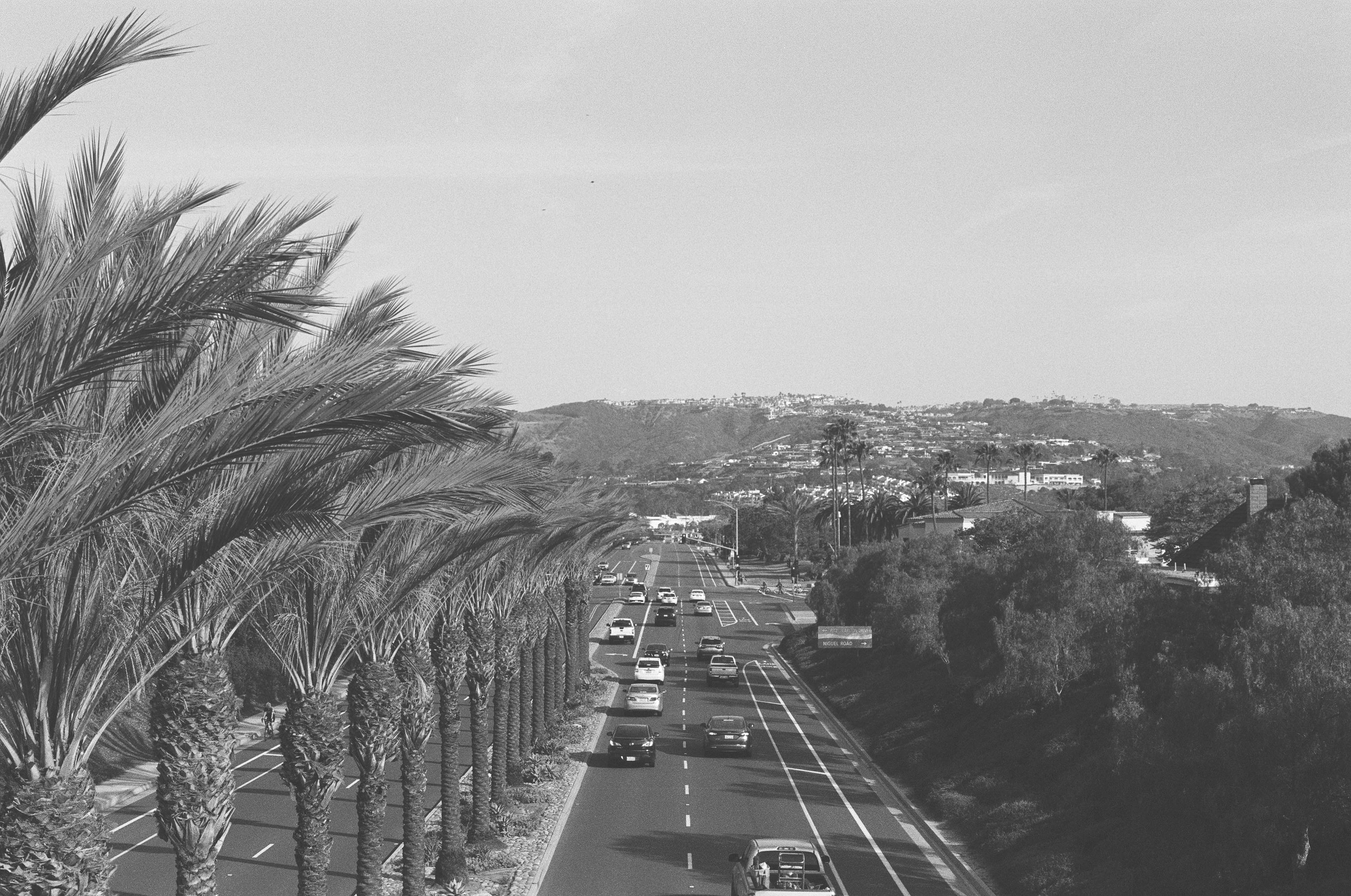 Grayscale Photo of Vehicles on Road · Free Stock Photo
