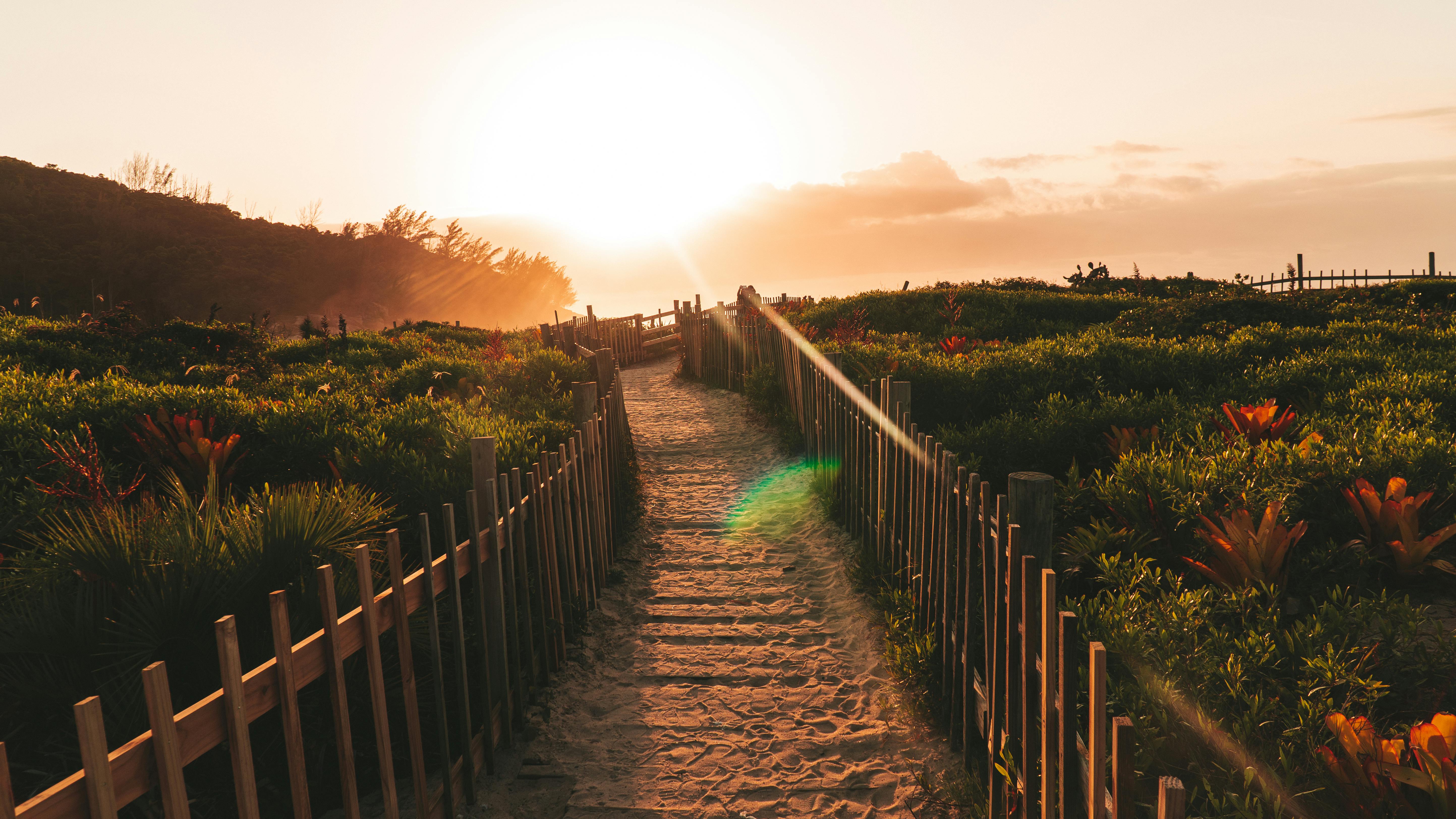 Unpaved Pathway Between Wooden Fences of Plant Garden · Free Stock Photo