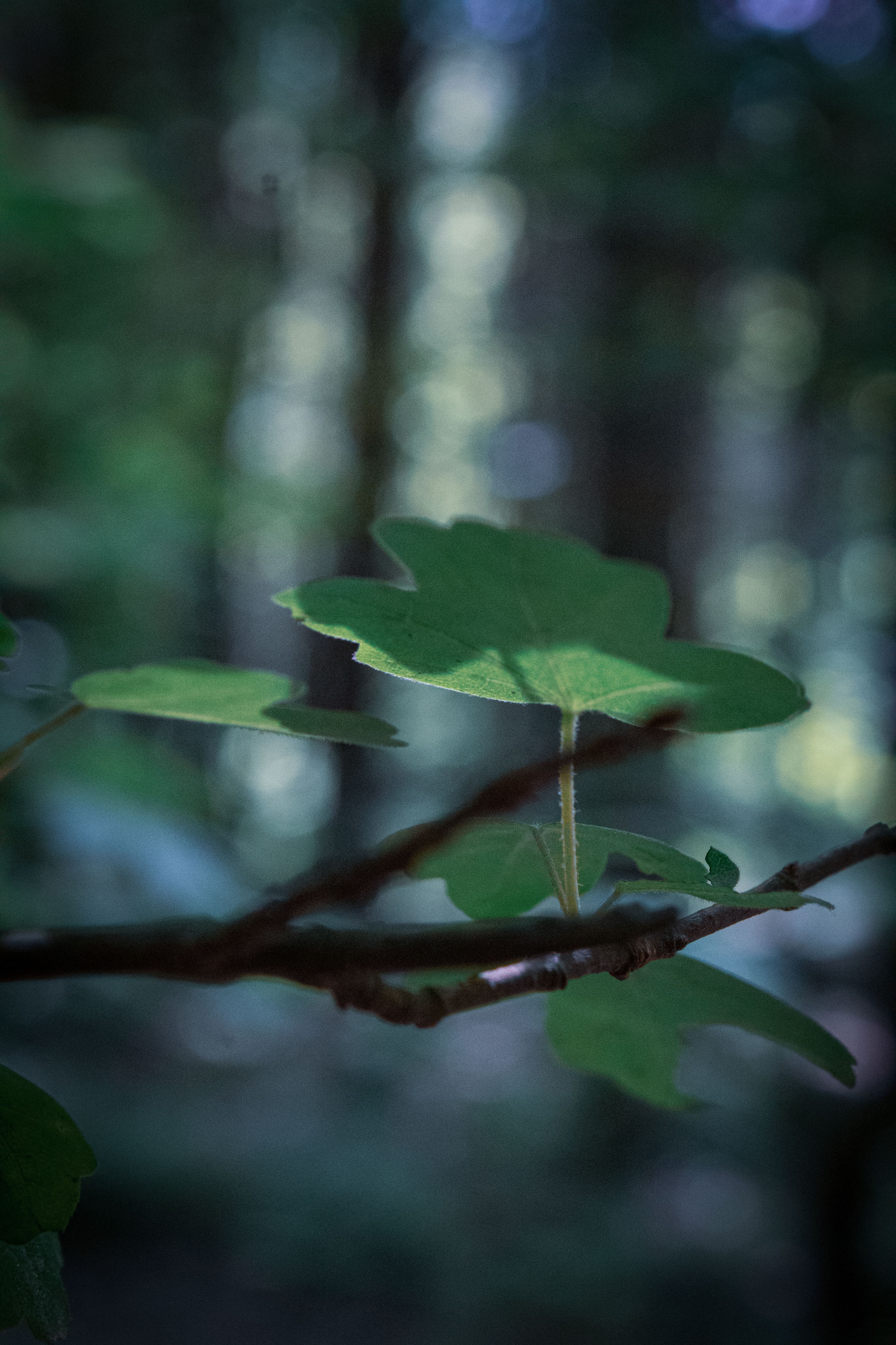 Bio Shift Photos, Download The BEST Free Bio Shift Stock Photos & HD Images