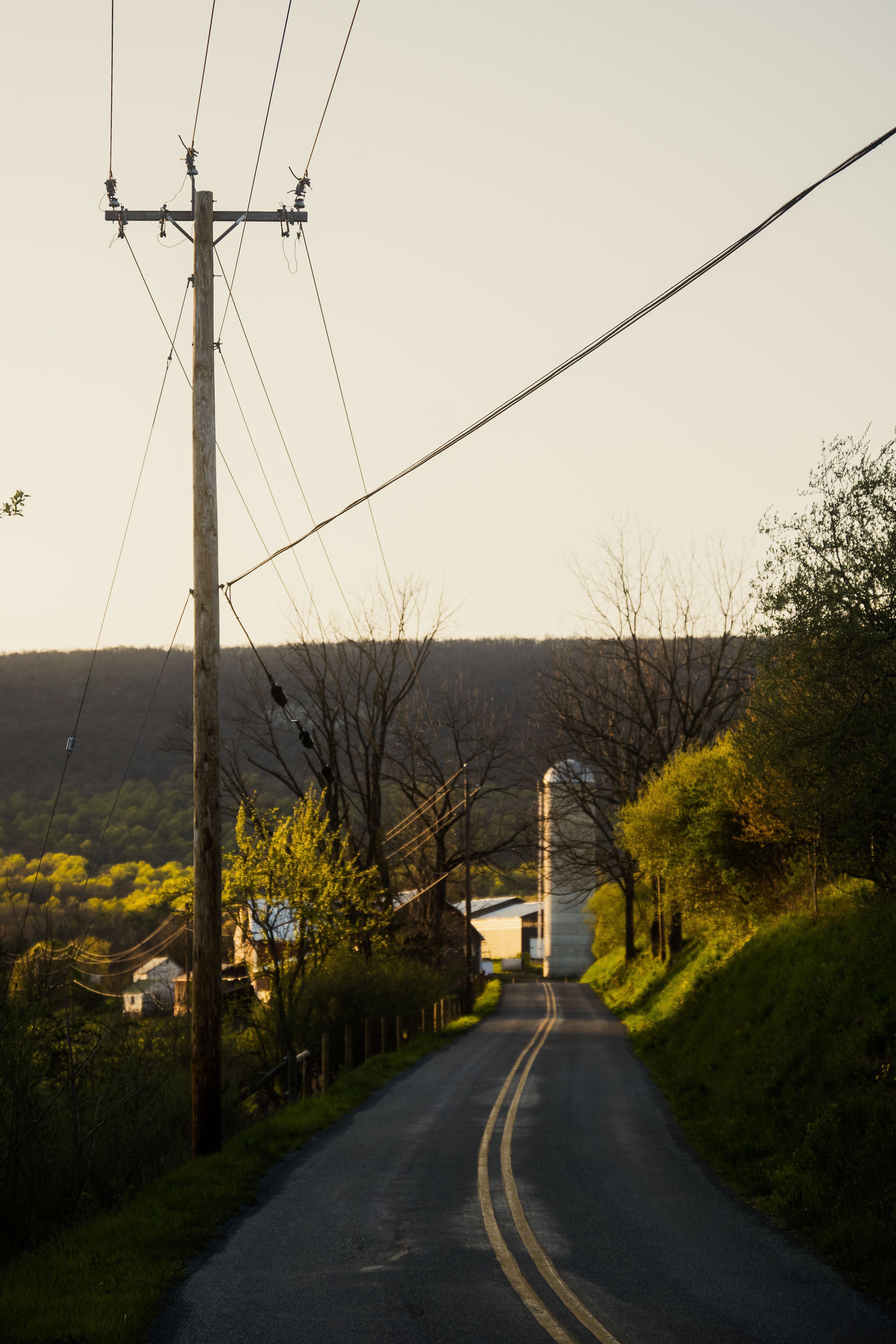 French Road Trees Photos, Download Free French Road Trees Stock Photos ...