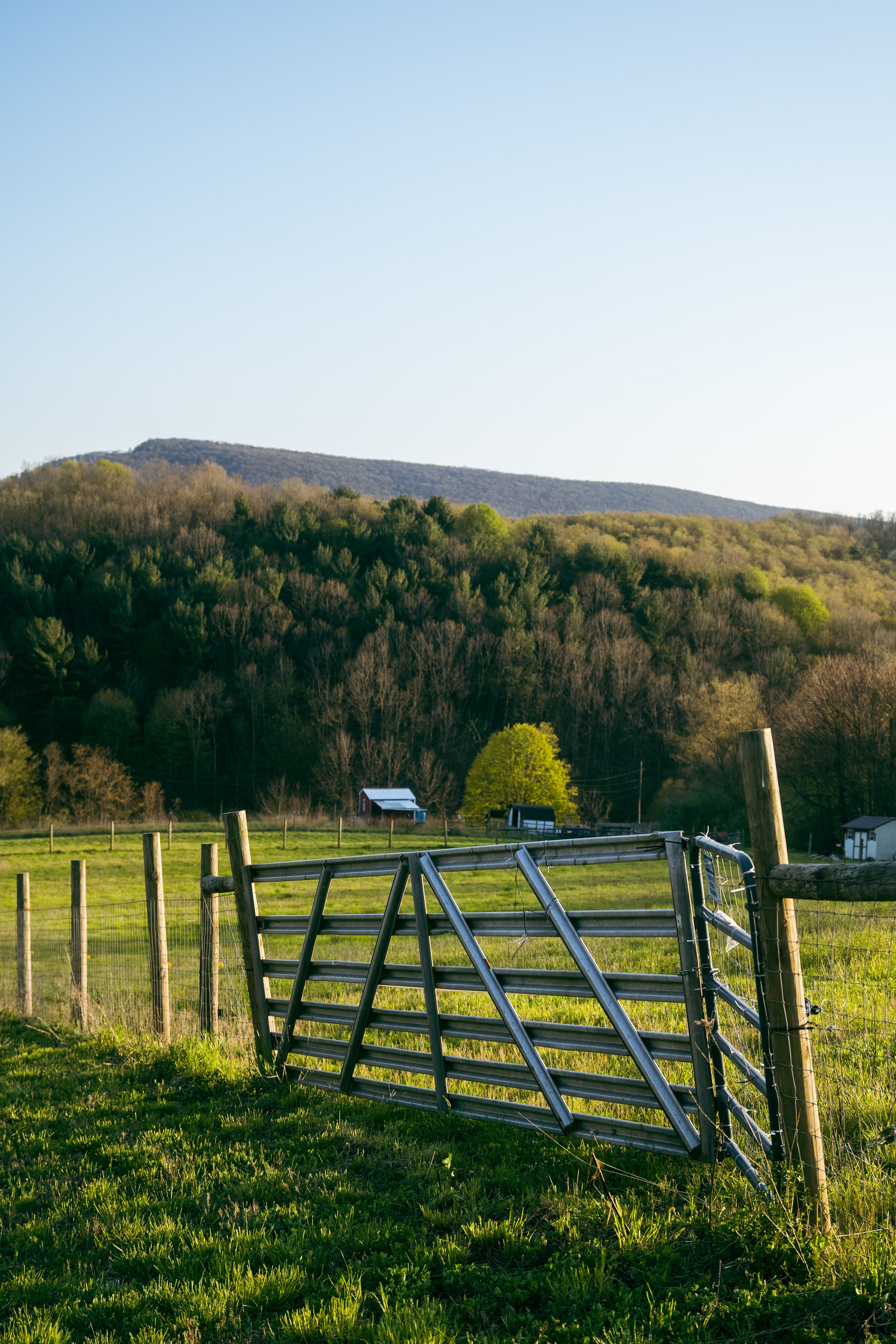 Wooden Fence on Grass Field · Free Stock Photo