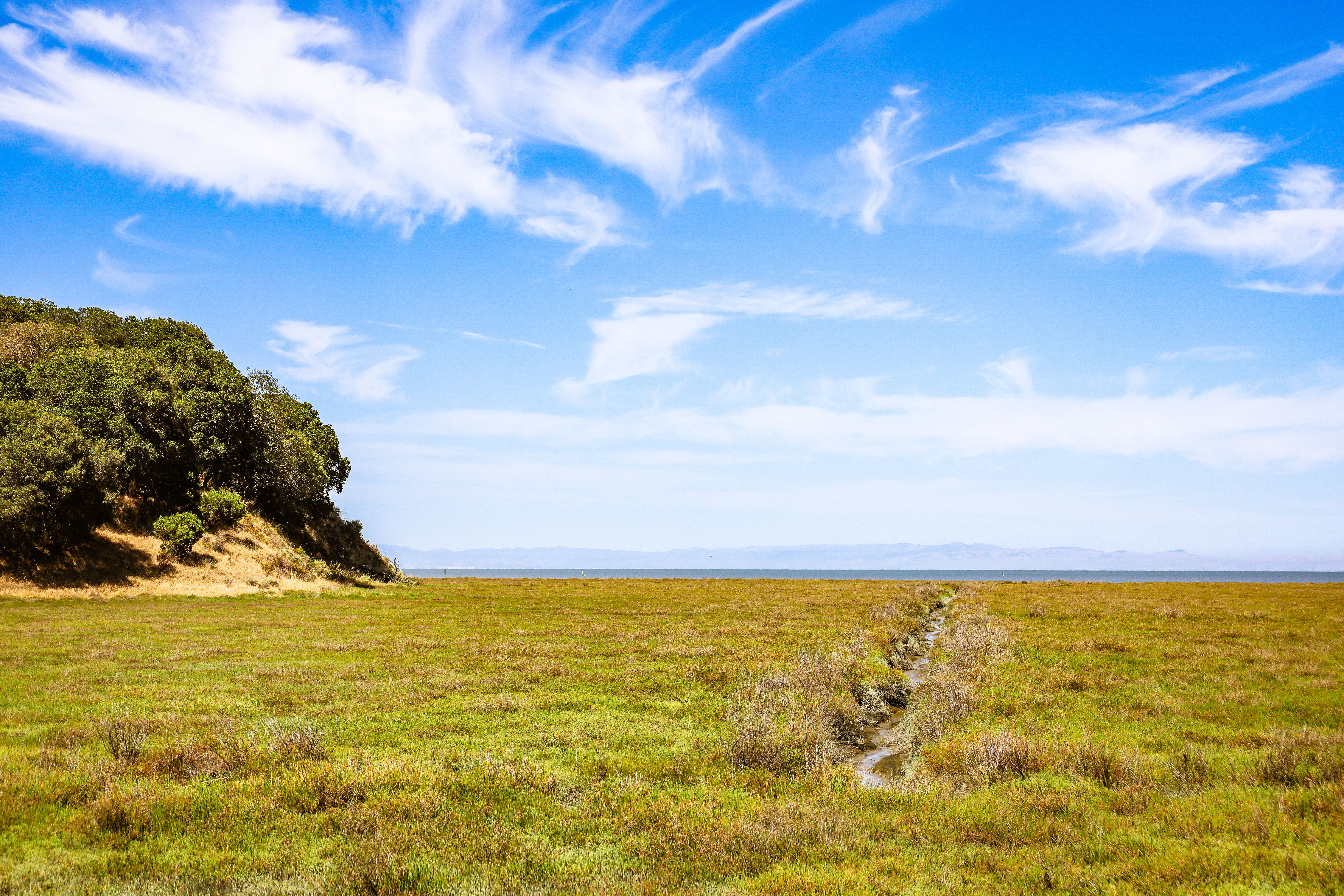 Green Grass Field Under Blue Sky · Free Stock Photo