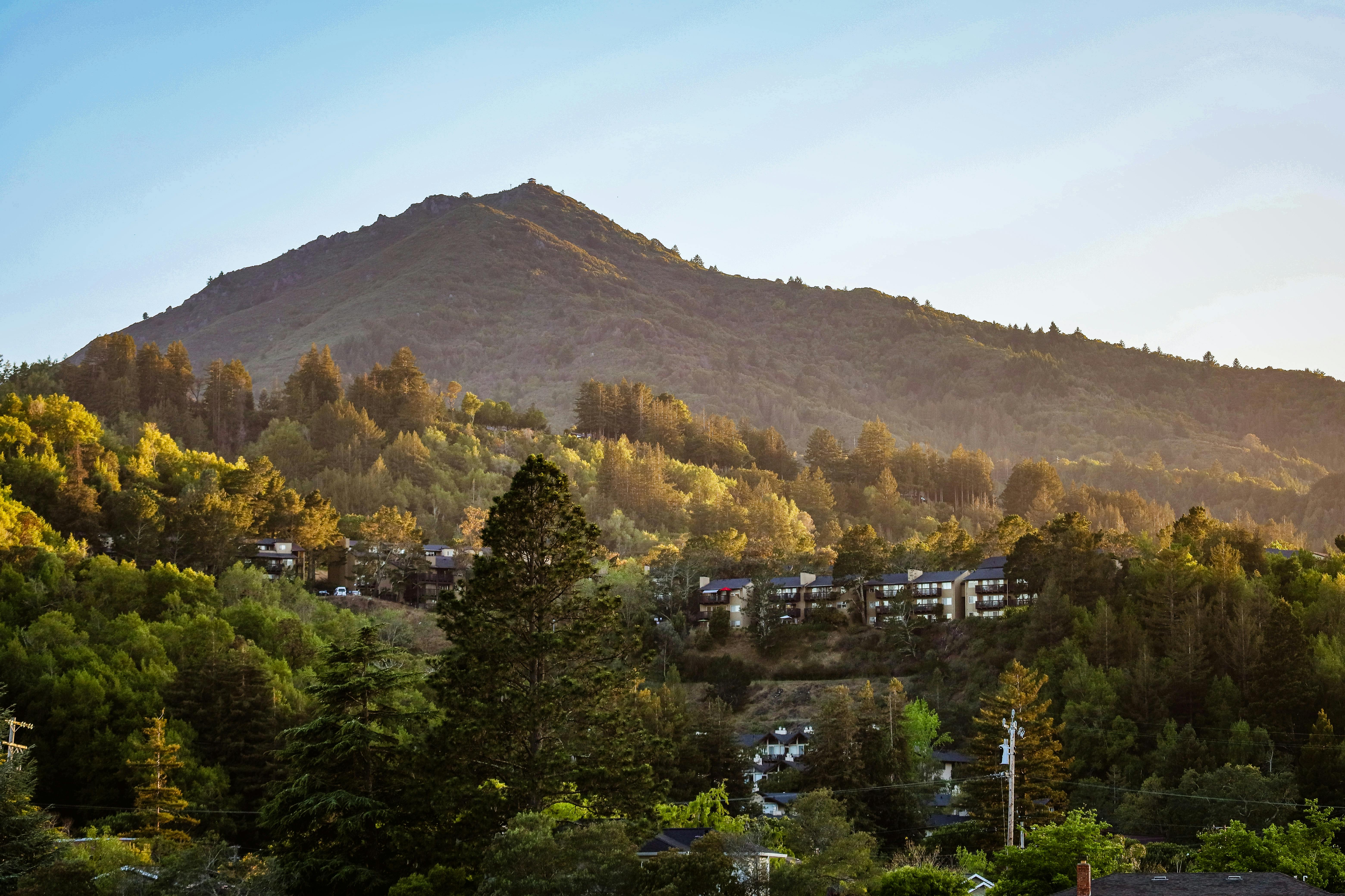 Aerial View of Trees on Mountain · Free Stock Photo