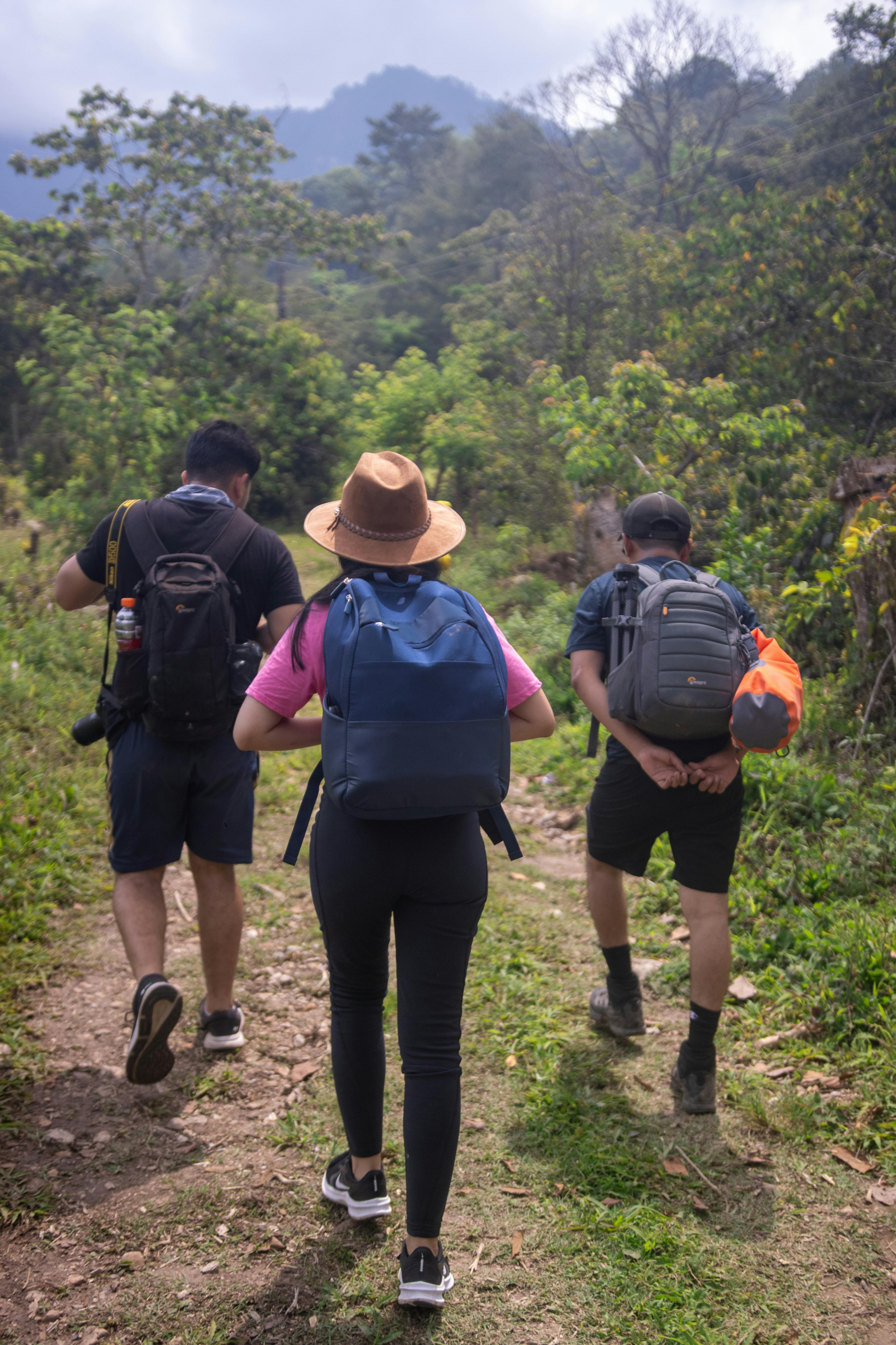 Back View of Man Wearing Backpack · Free Stock Photo