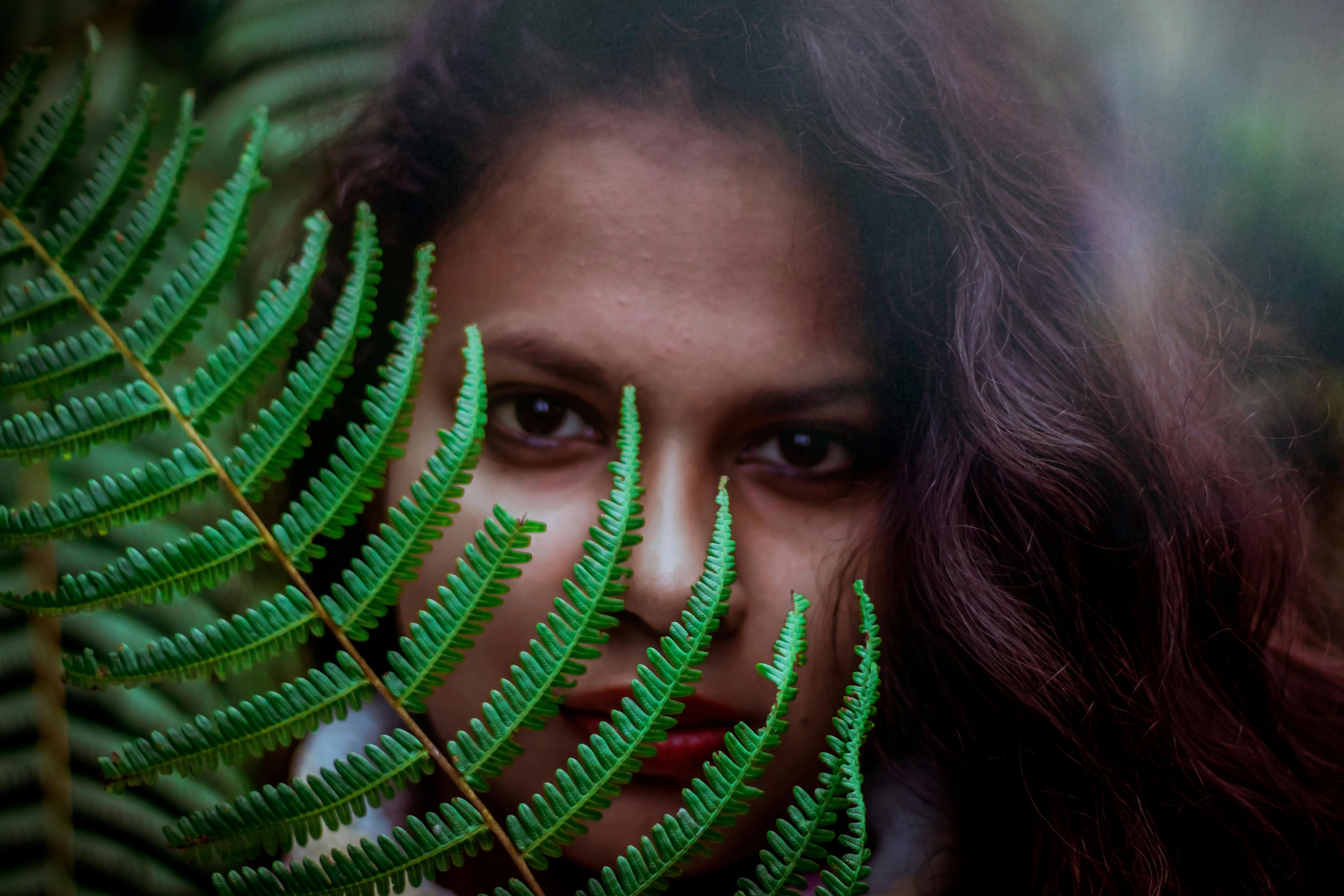 Rahul Pandit - 摄影