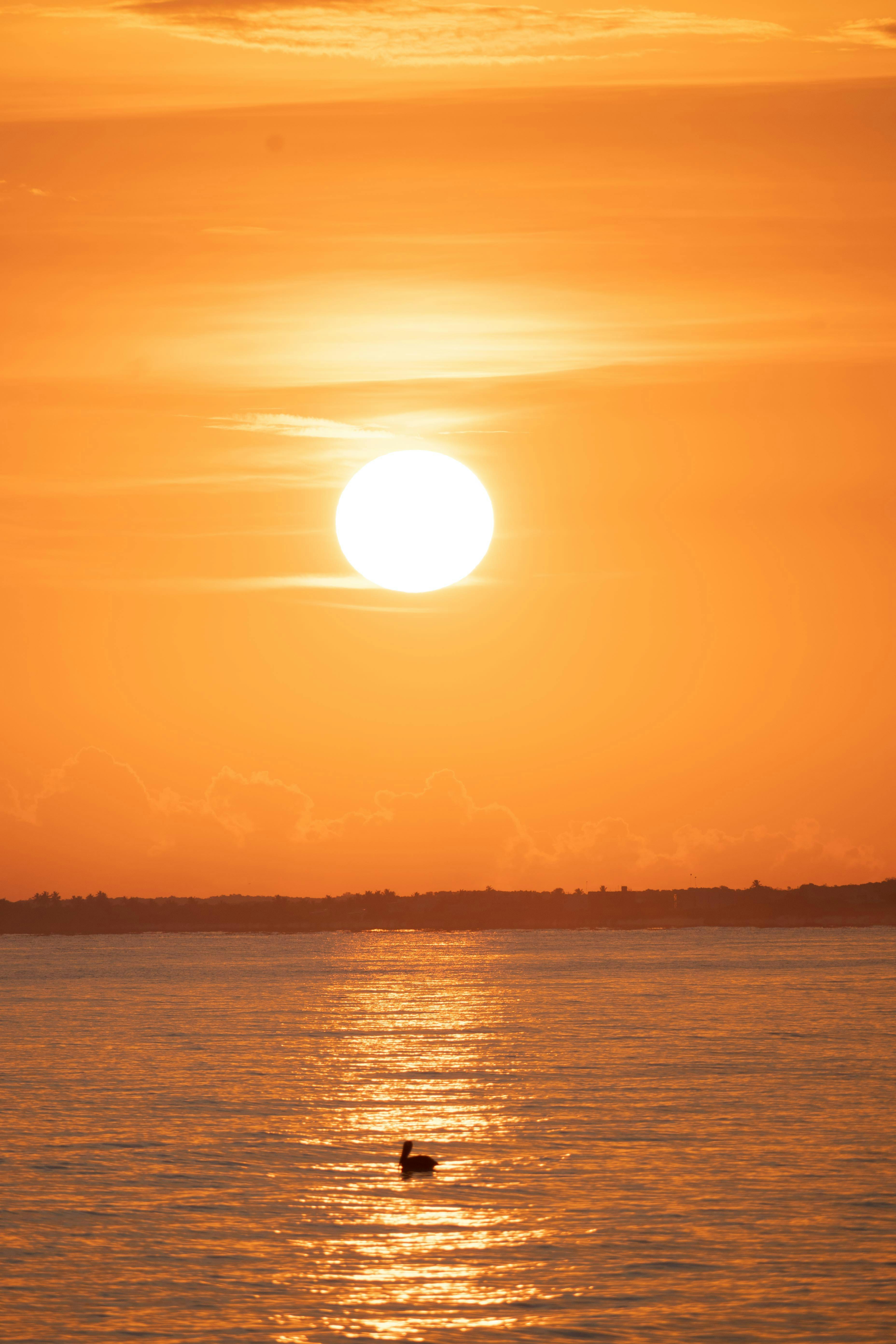 Body of Water during Sunset · Free Stock Photo