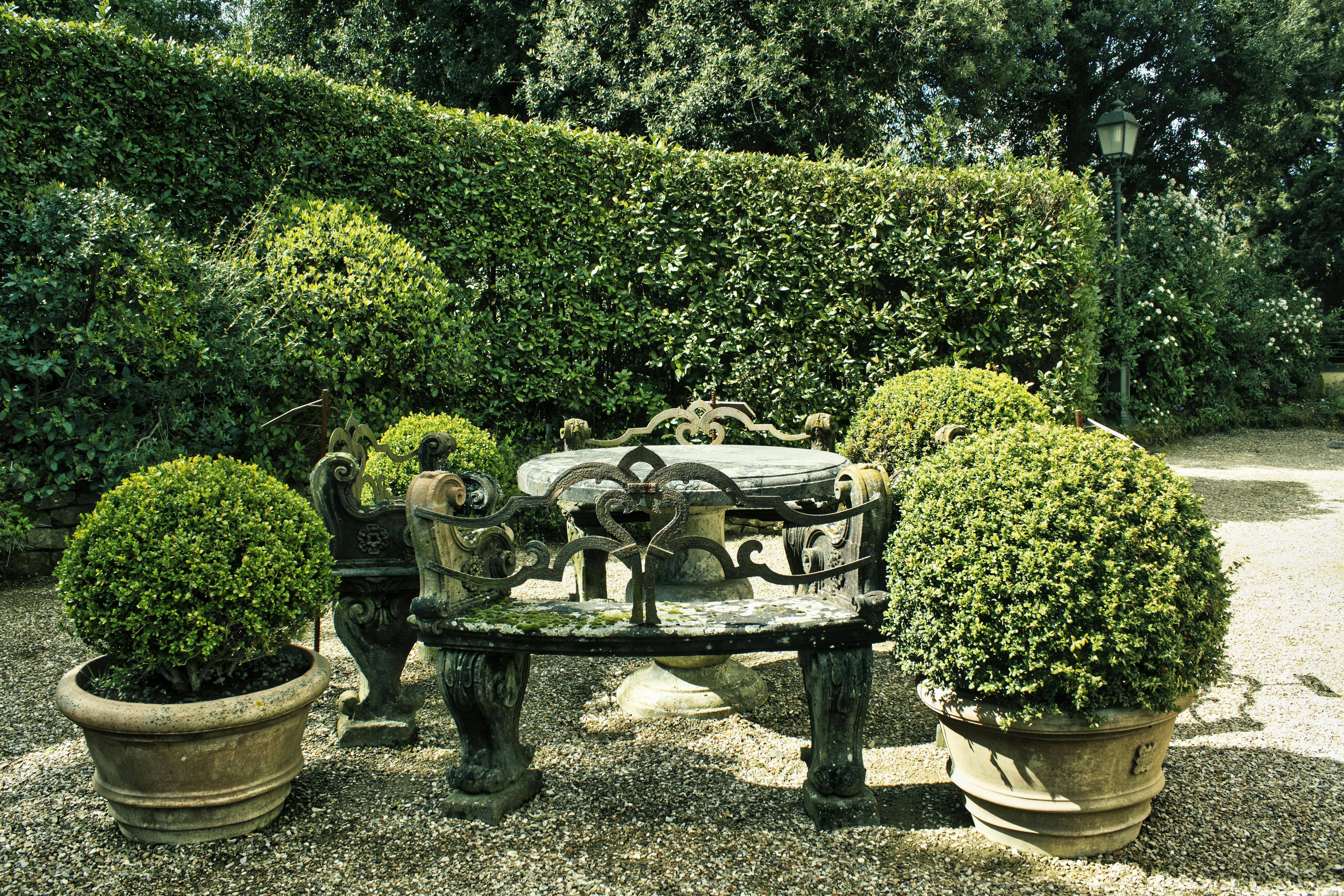 Backyard Bushes Photos, Download The BEST Free Backyard Bushes Stock ...