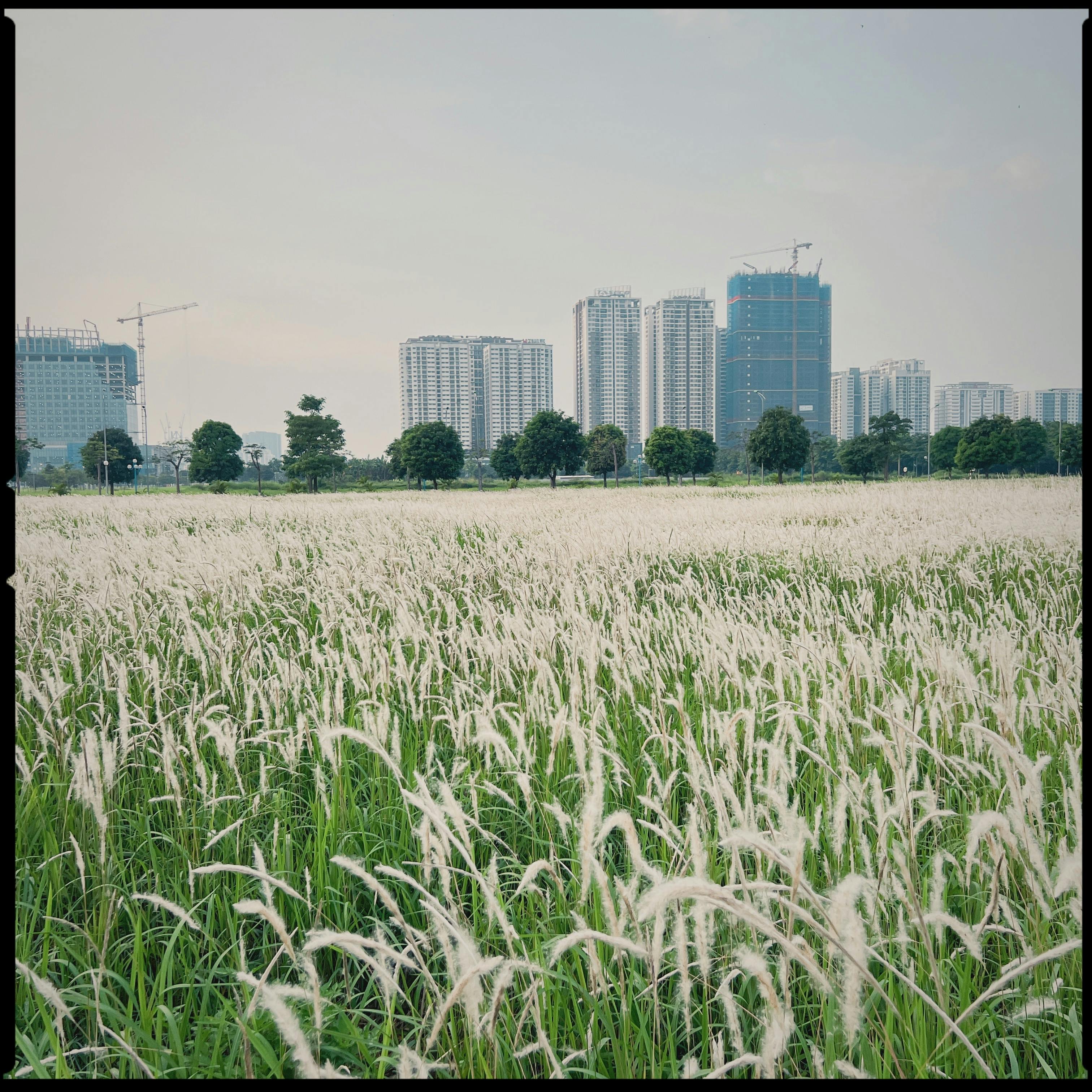 Integrated Urban Development Planning Photos, Download The BEST Free ...