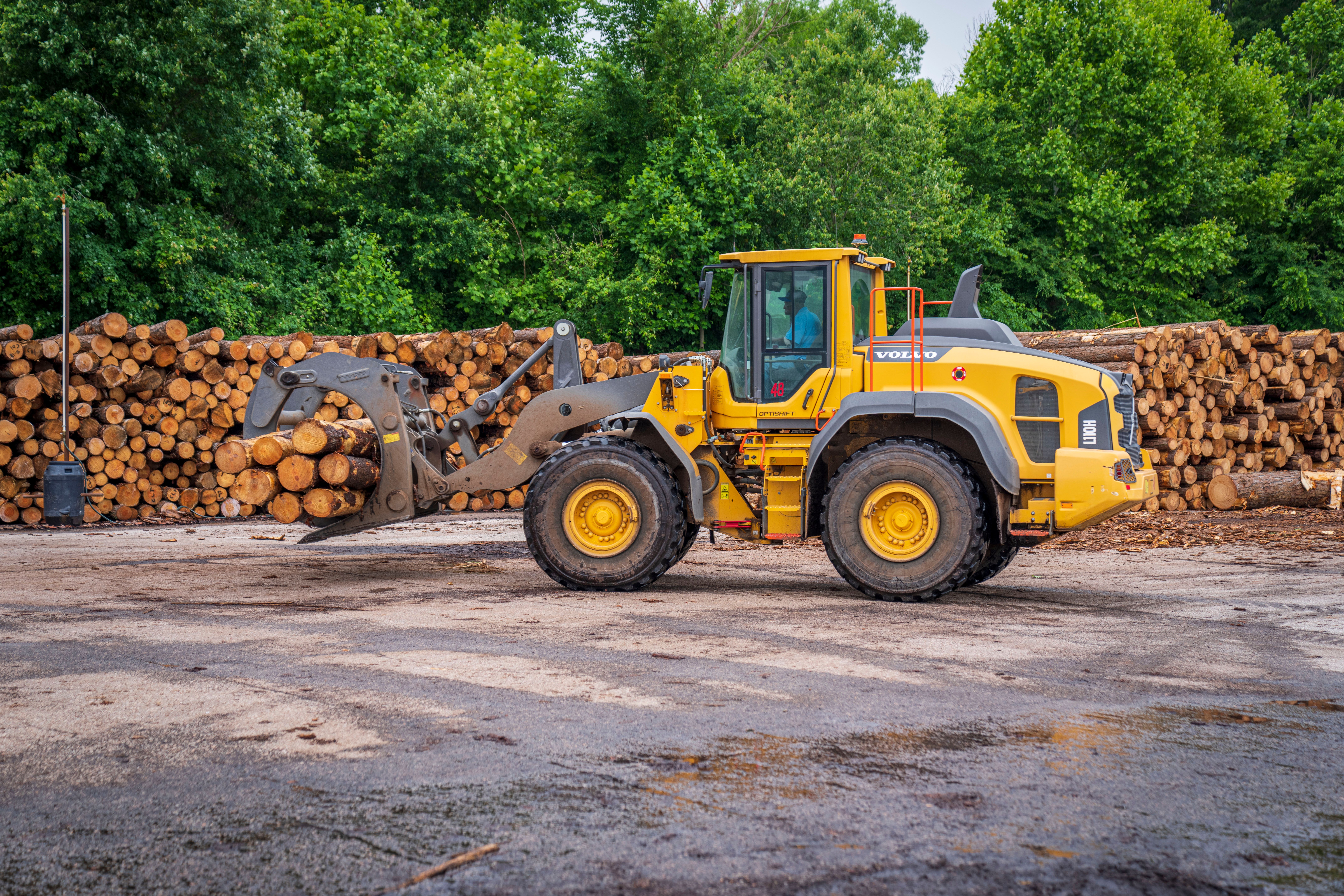 A Person Driving a Timber Truck with Tree Log · Free Stock Photo