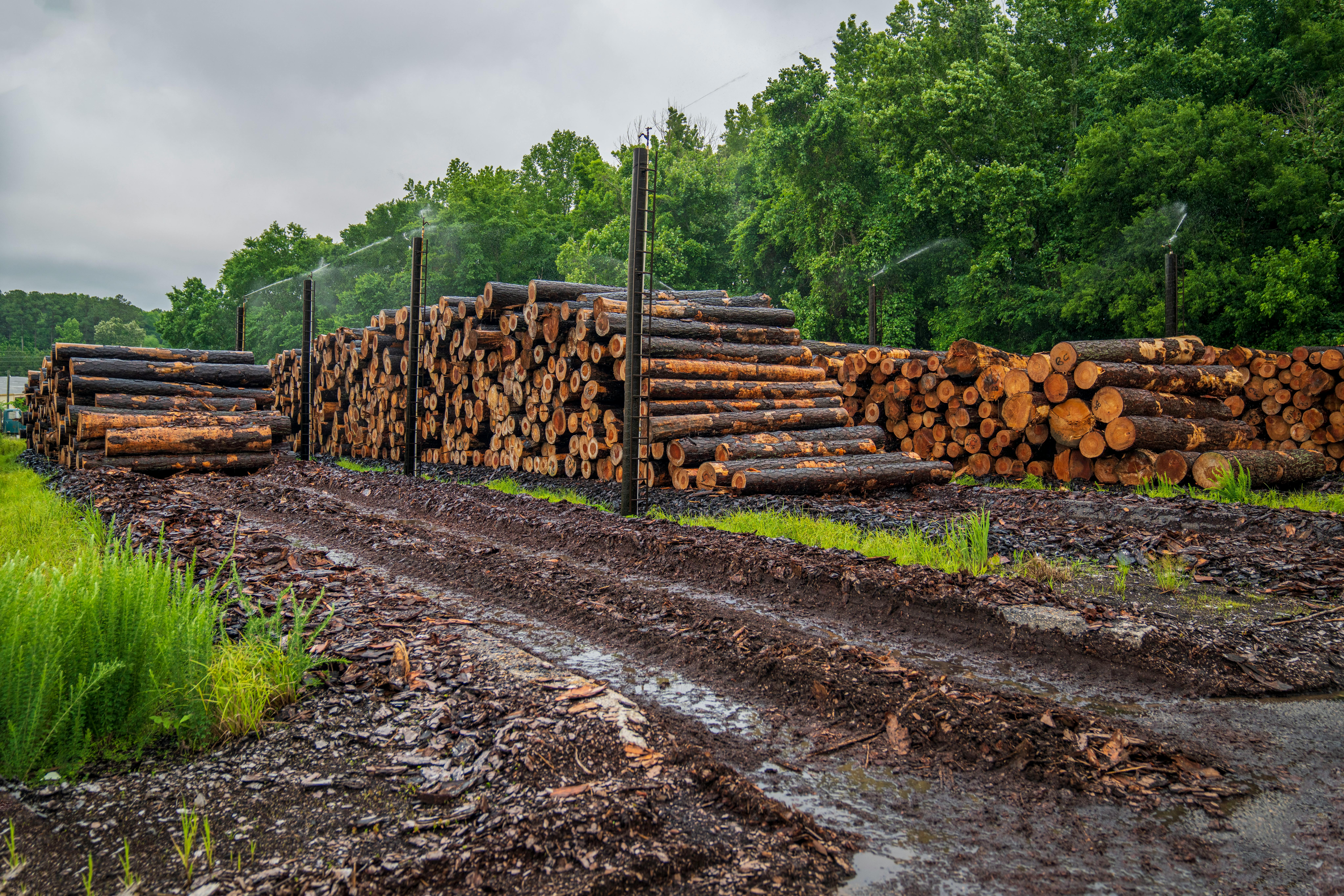 Logging Operation Photos, Download The BEST Free Logging Operation ...