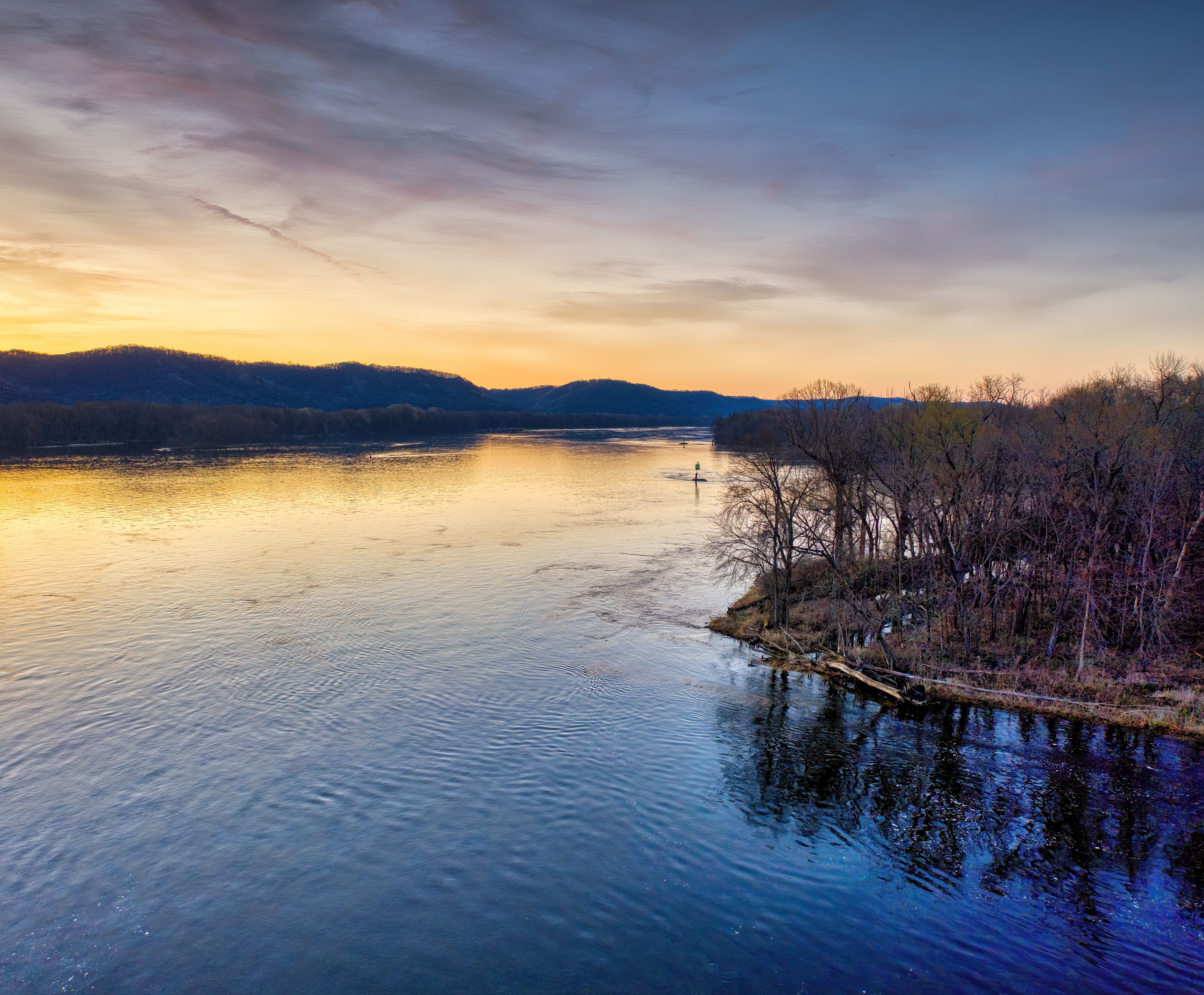 Leafless Trees near the River · Free Stock Photo