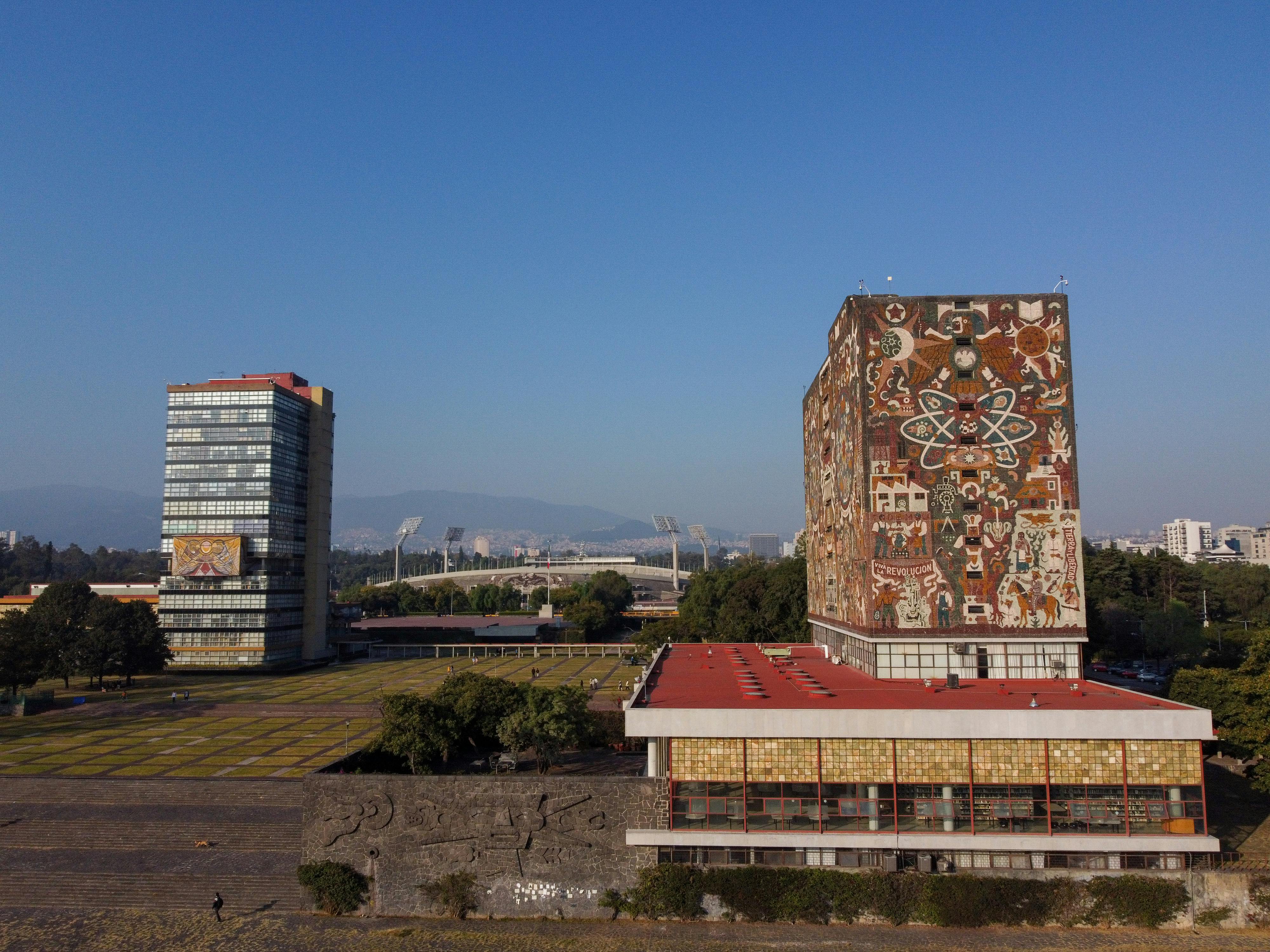 Collaborative Tree Art Mural Photos, Download The BEST Free ...