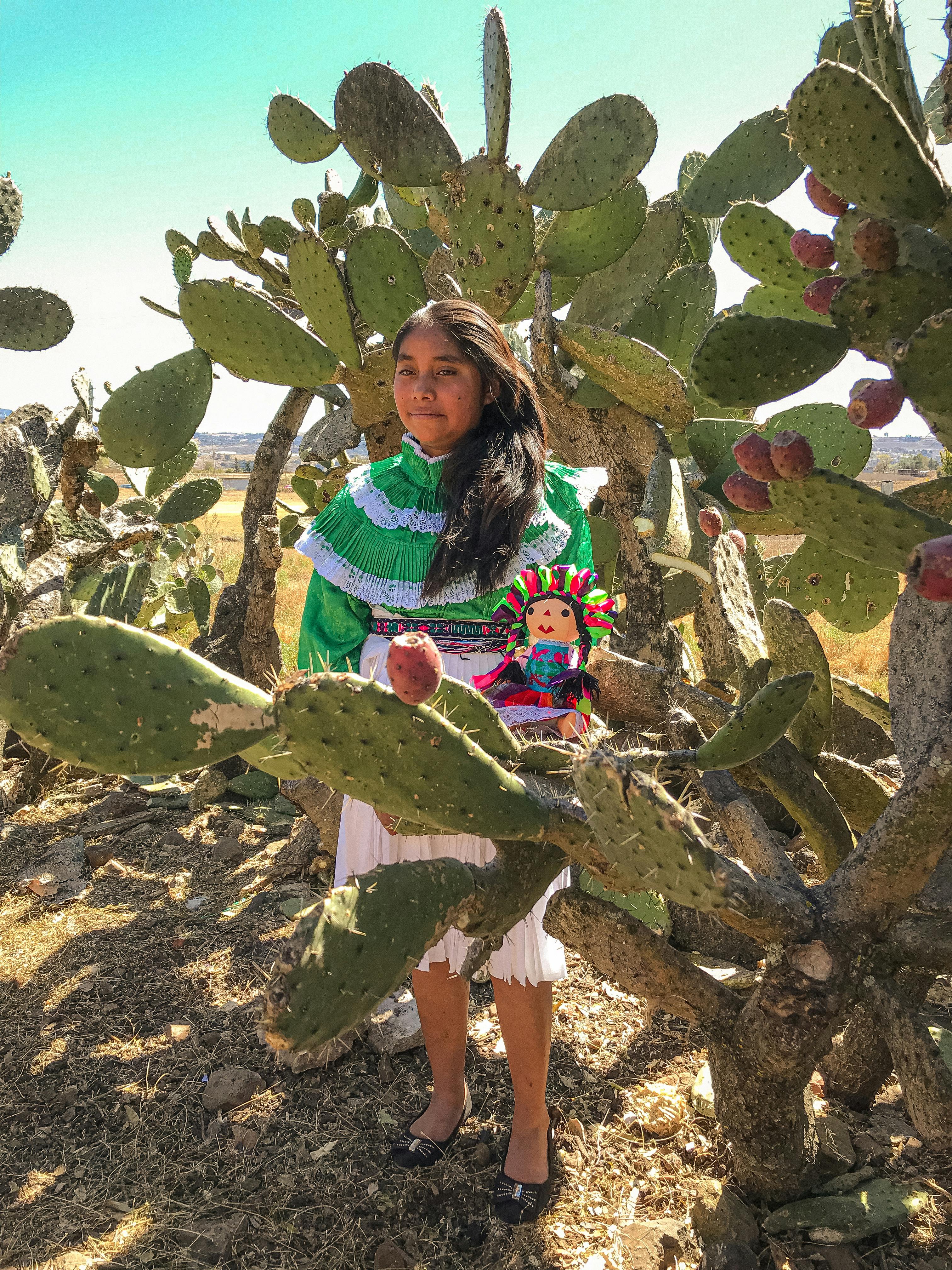 Girl Standing Beside Green Cactuses · Free Stock Photo