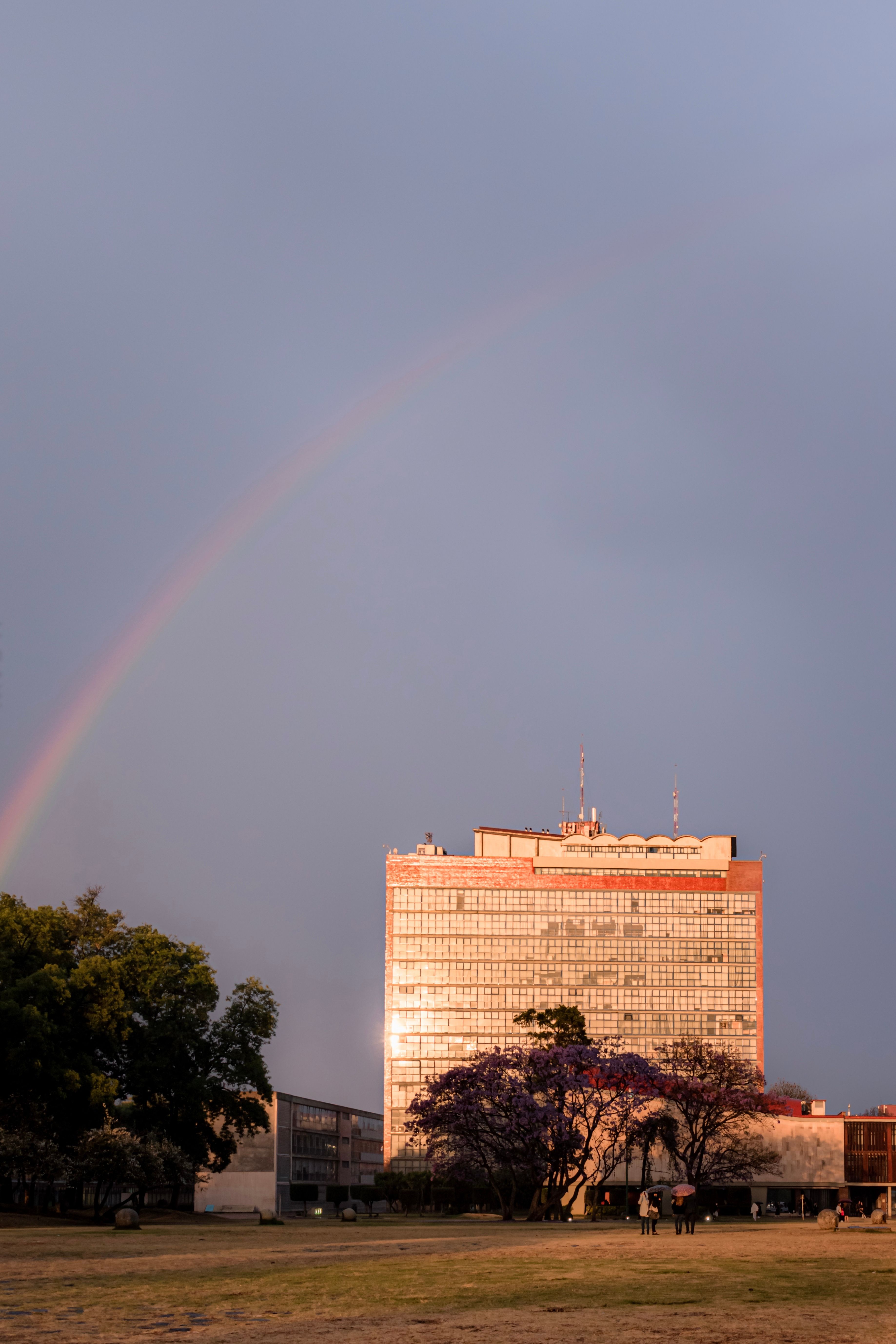 Rainbow over City Skyline · Free Stock Photo