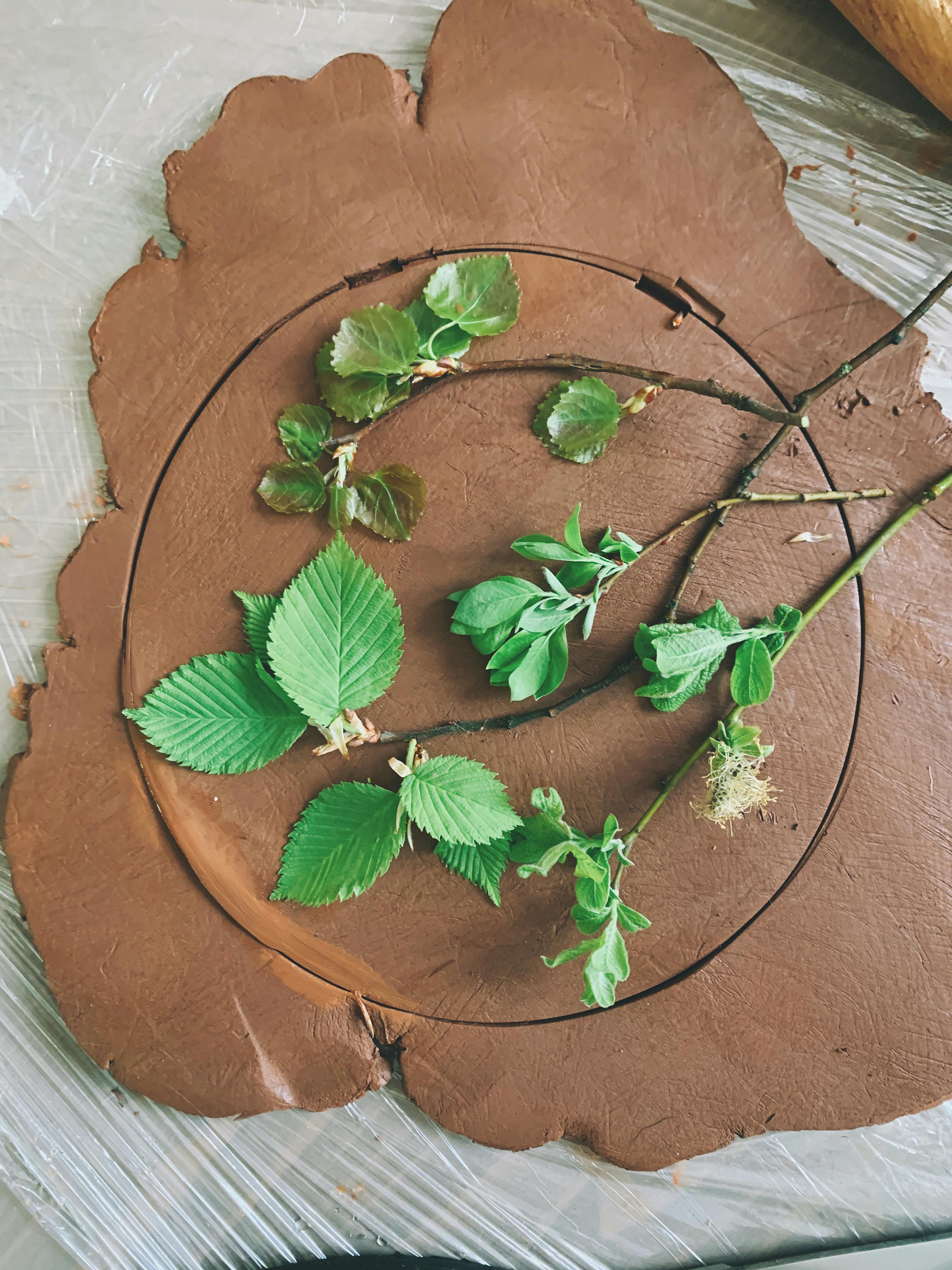 Mint Texture Photos, Download The BEST Free Mint Texture Stock Photos ...