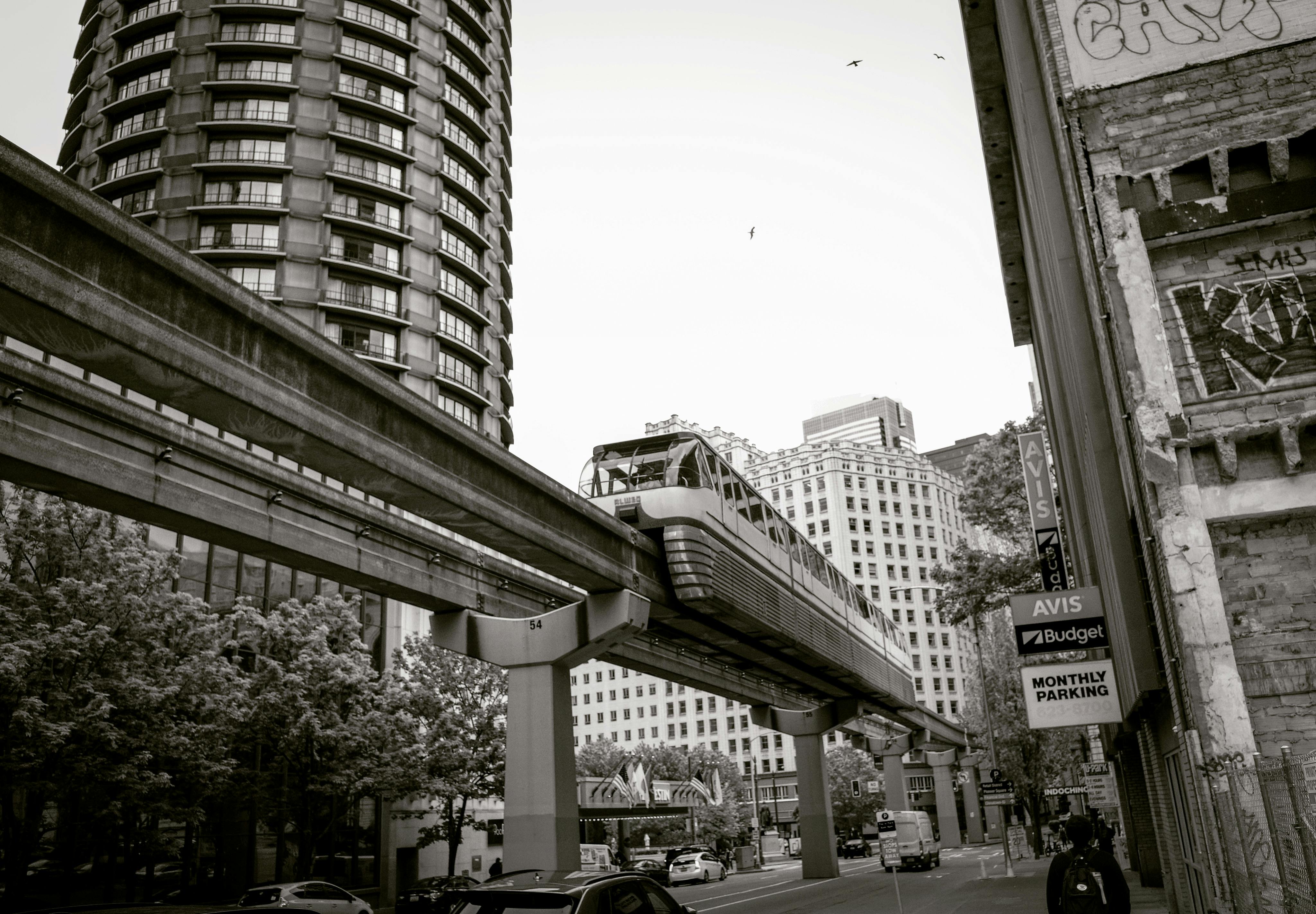 Nathan Reynolds - Fotografía