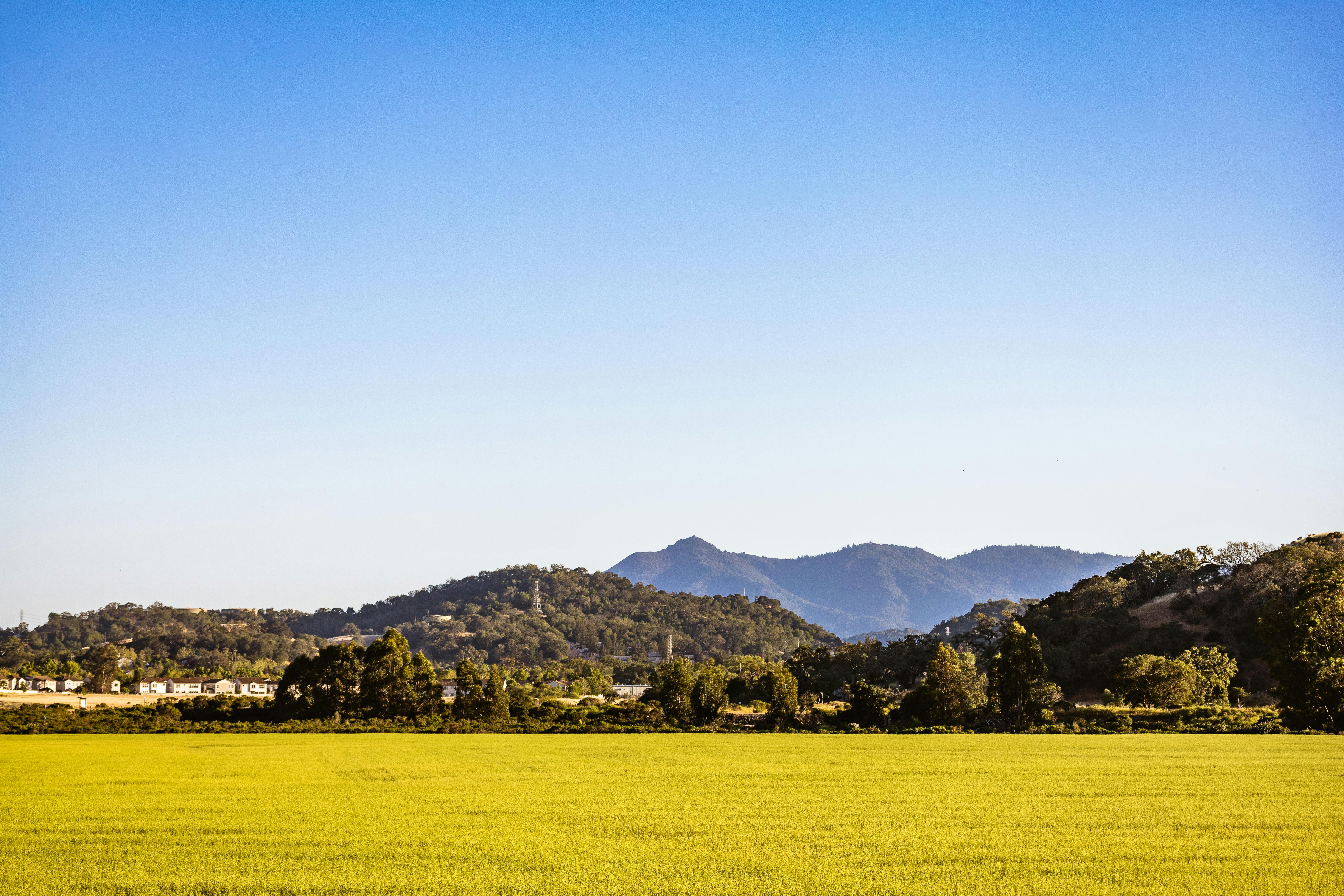 Grain Field Near Mountains and Trees Under Blue Sky · Free Stock Photo