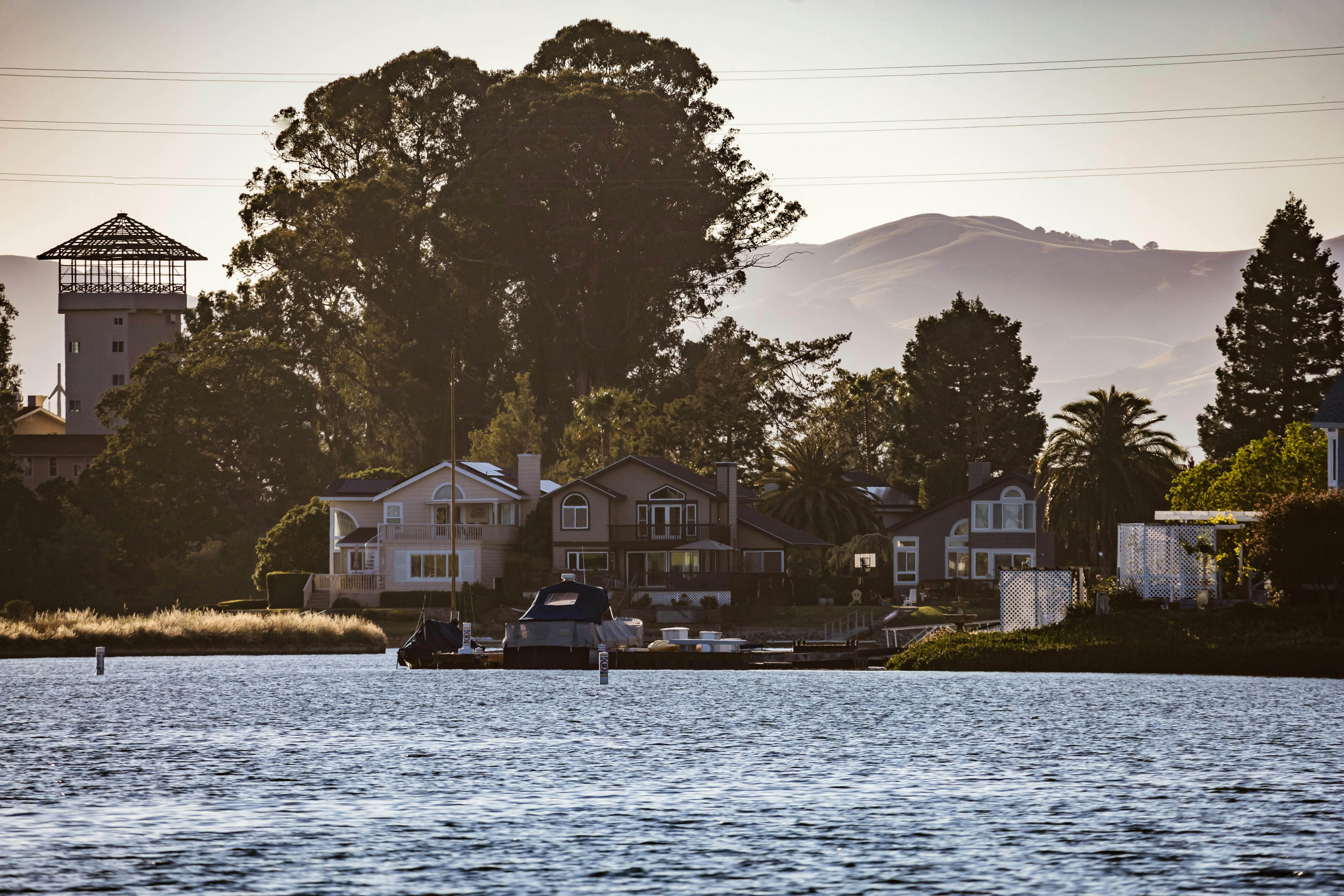 Green Trees Near Body of Water · Free Stock Photo