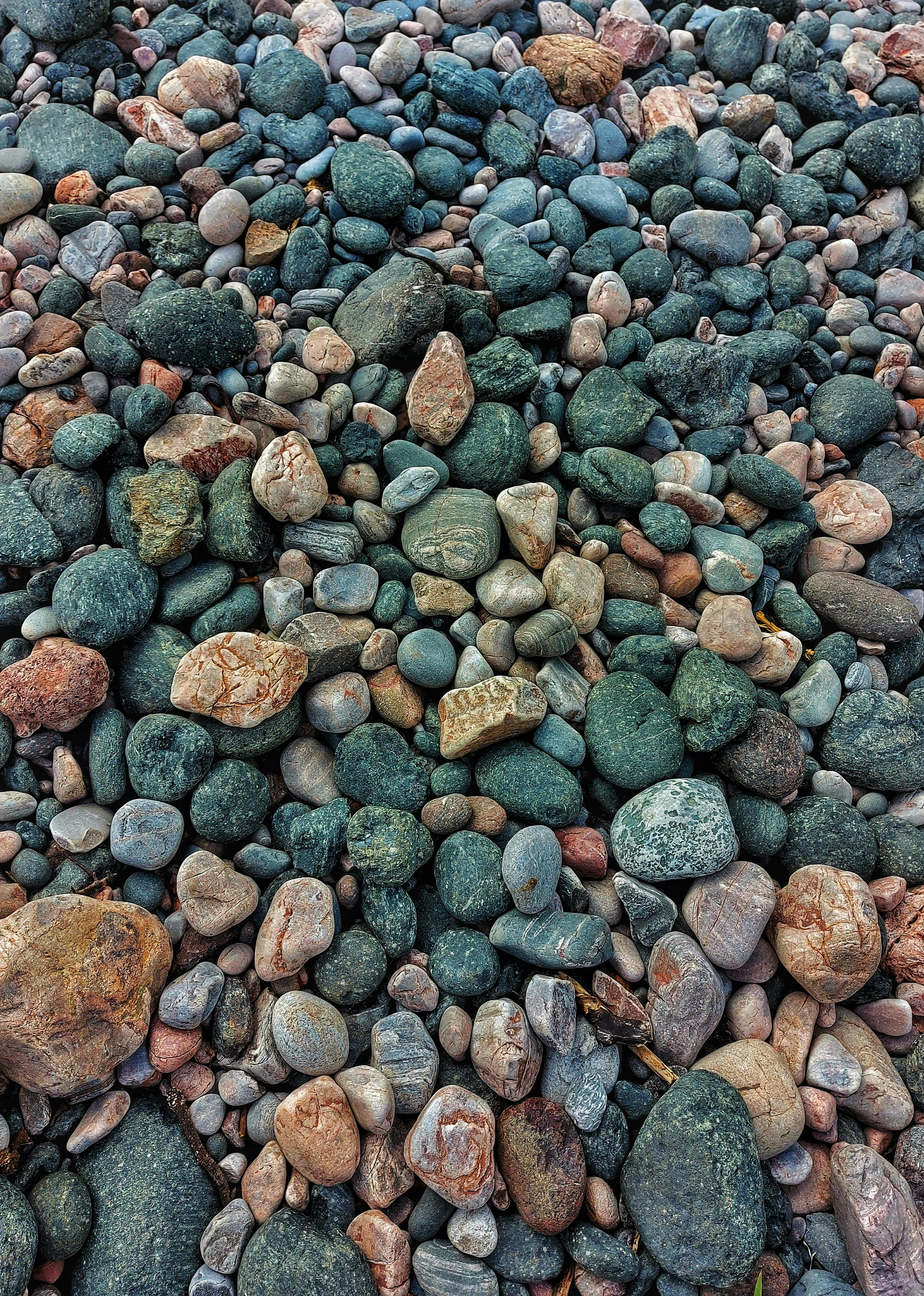 Stones on Beach · Free Stock Photo