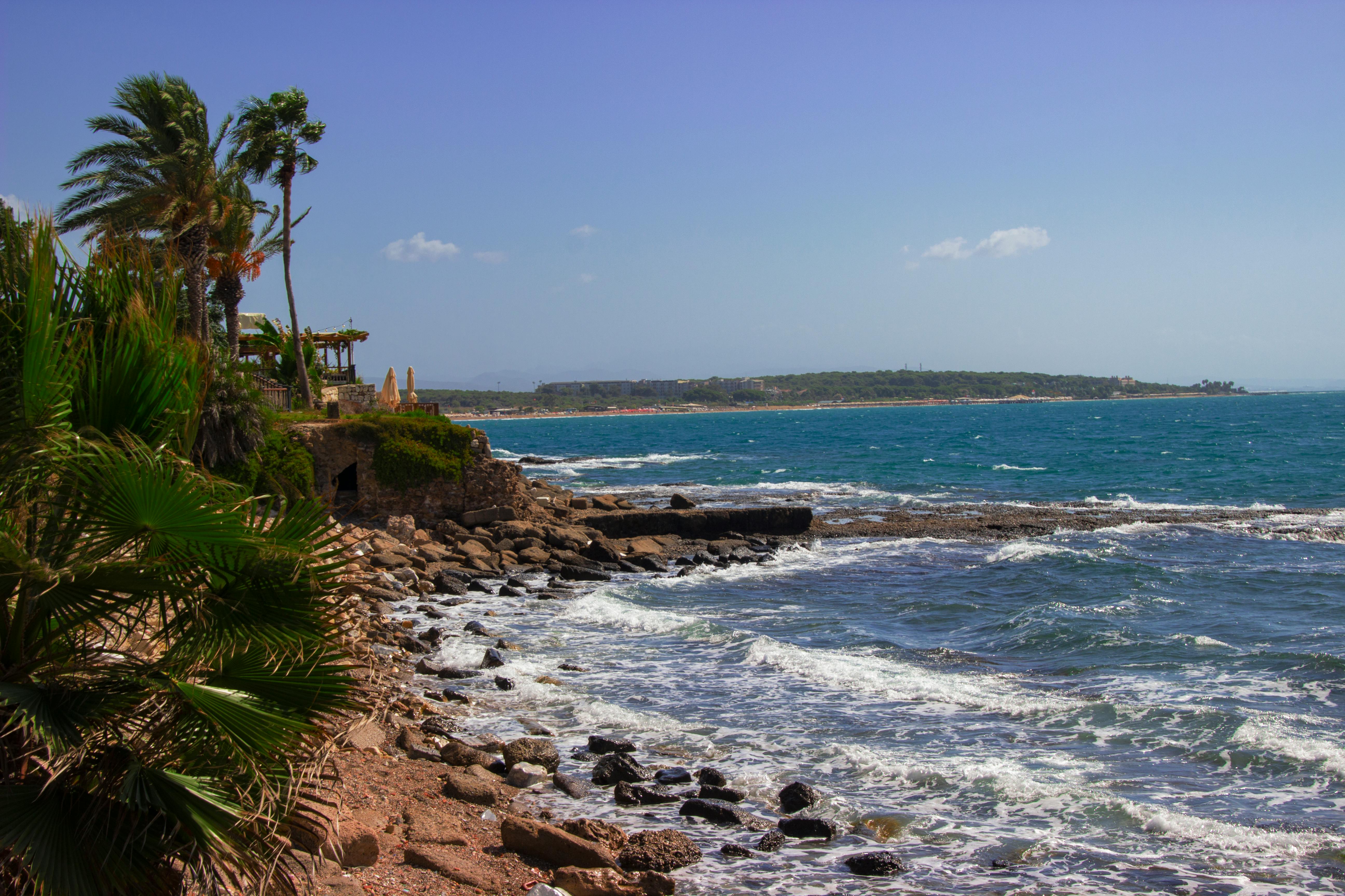 Justin Neal - Photography