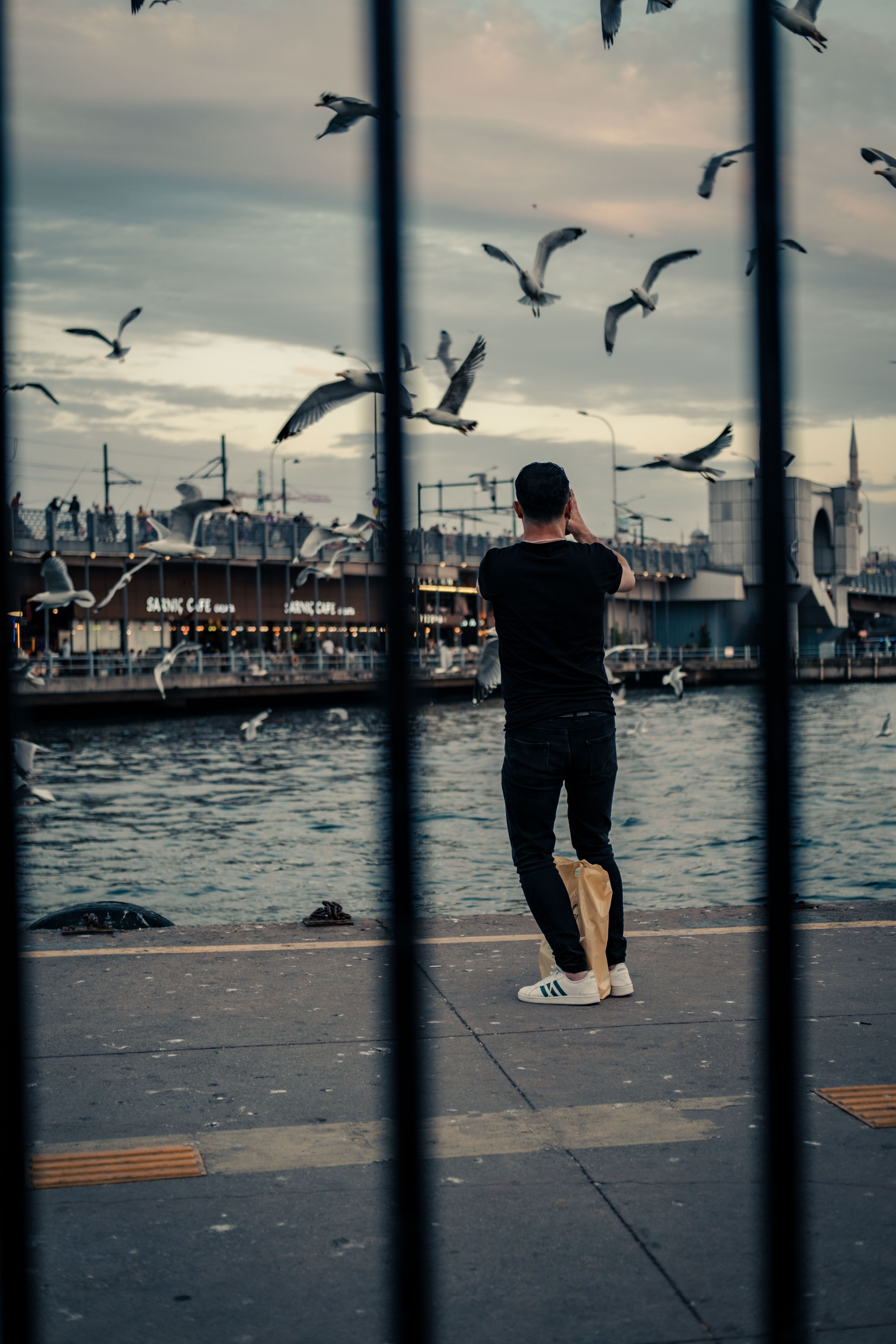 Woman Taking Pictures of Flying Birds · Free Stock Photo