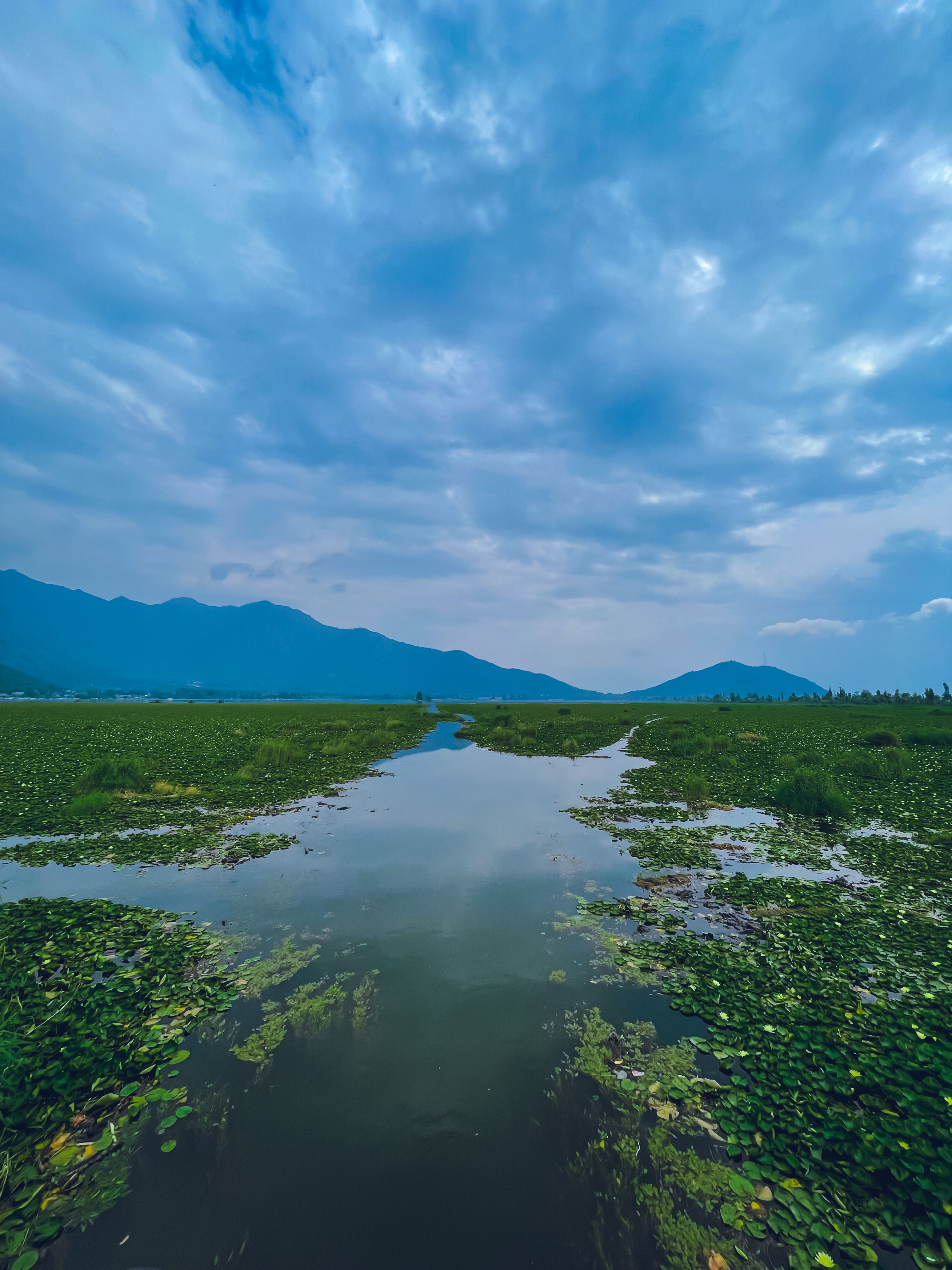 River Under Cloudy Sky · Free Stock Photo