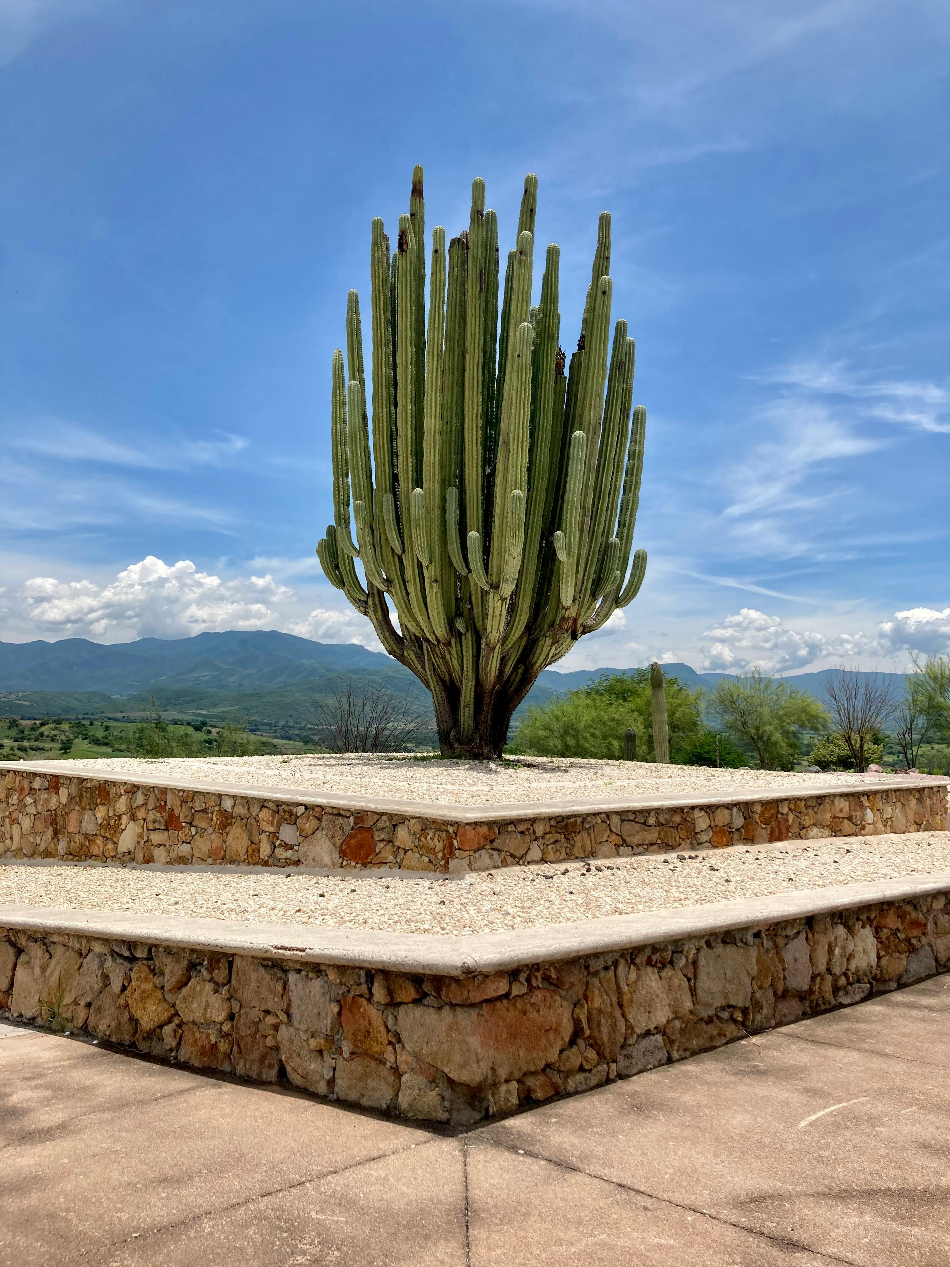 Sweltering Heat Photos, Download The BEST Free Sweltering Heat Stock ...