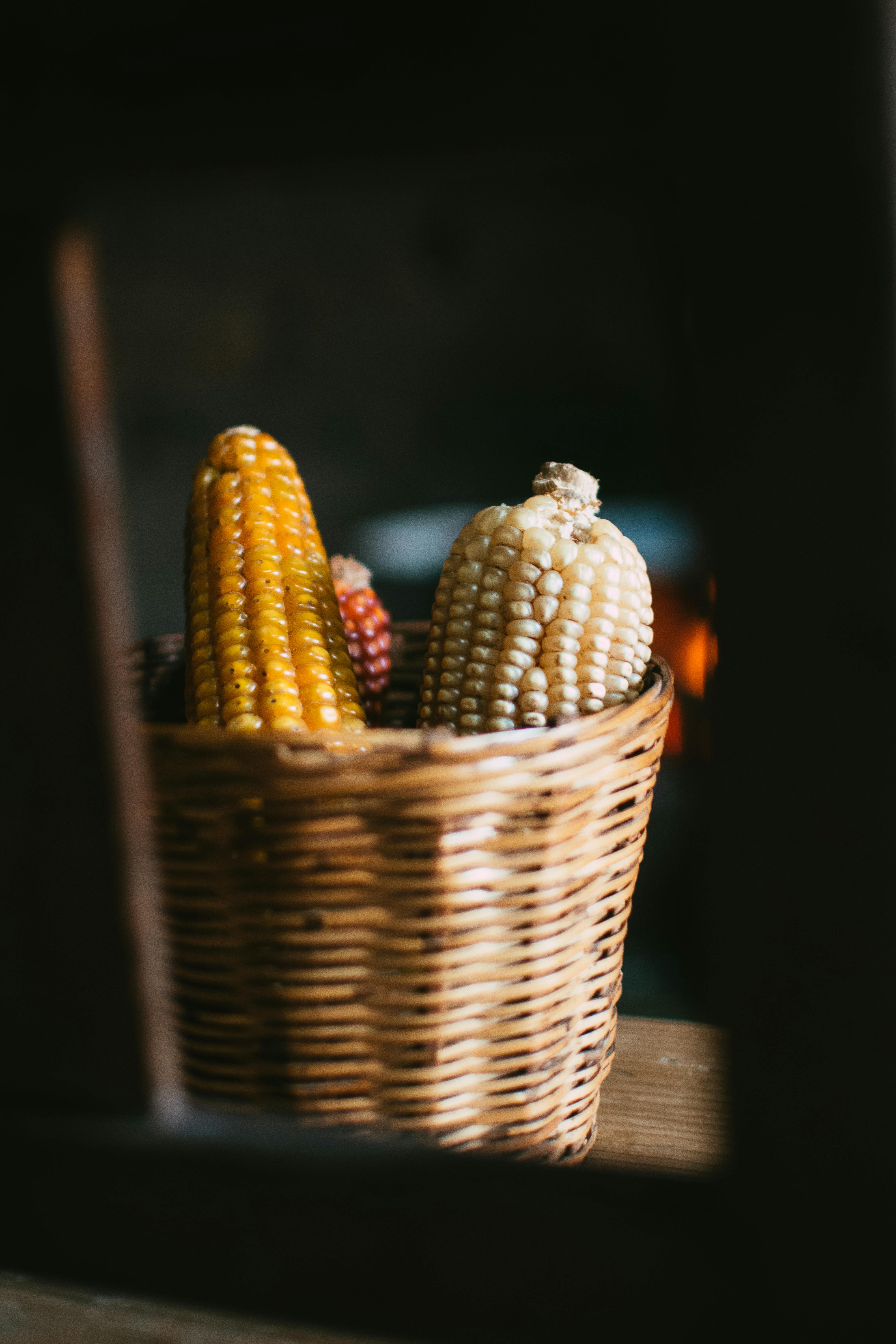 Four Basket of Mushrooms L · Free Stock Photo
