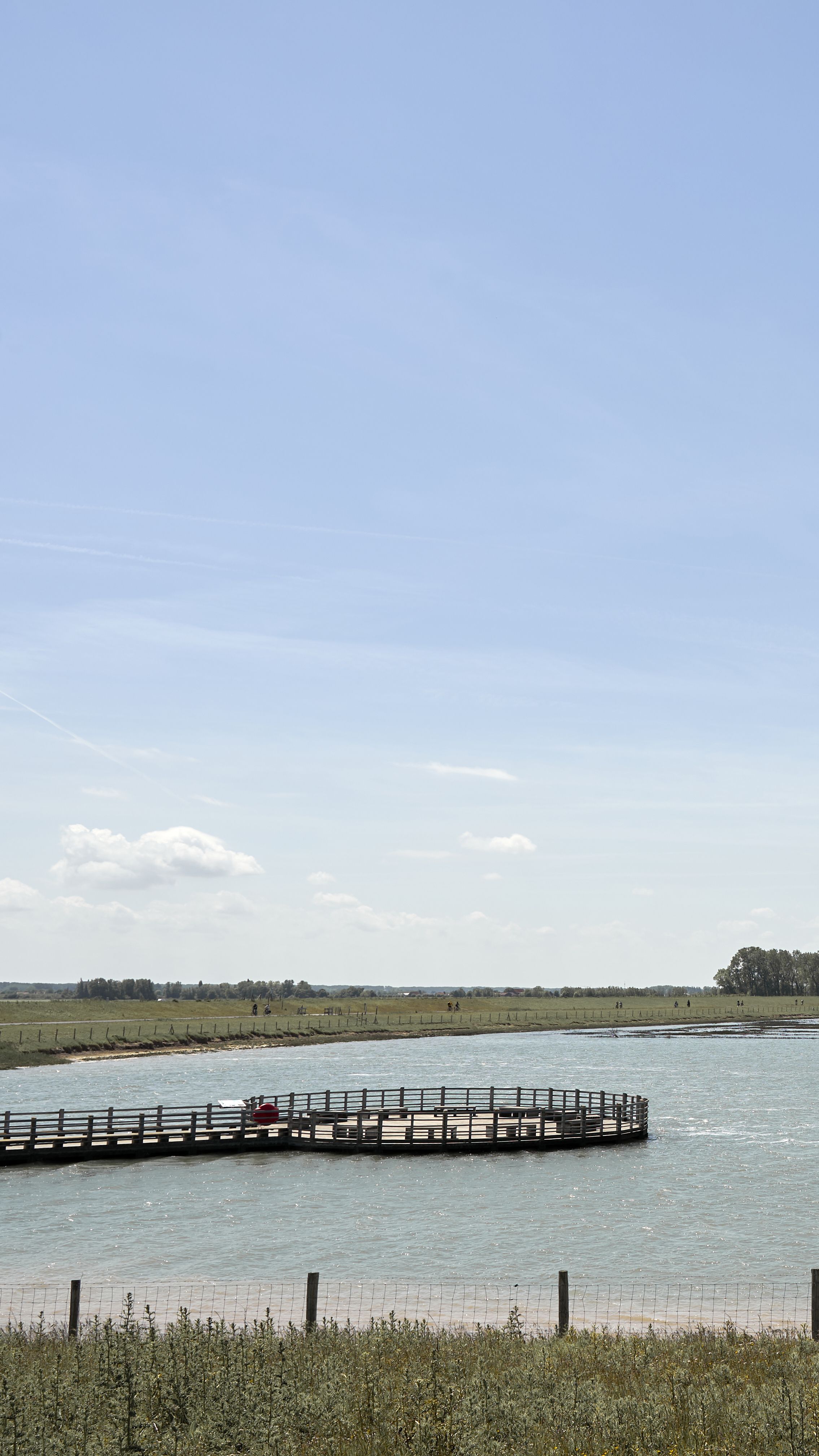 Wooden Dock on a Lake · Free Stock Photo