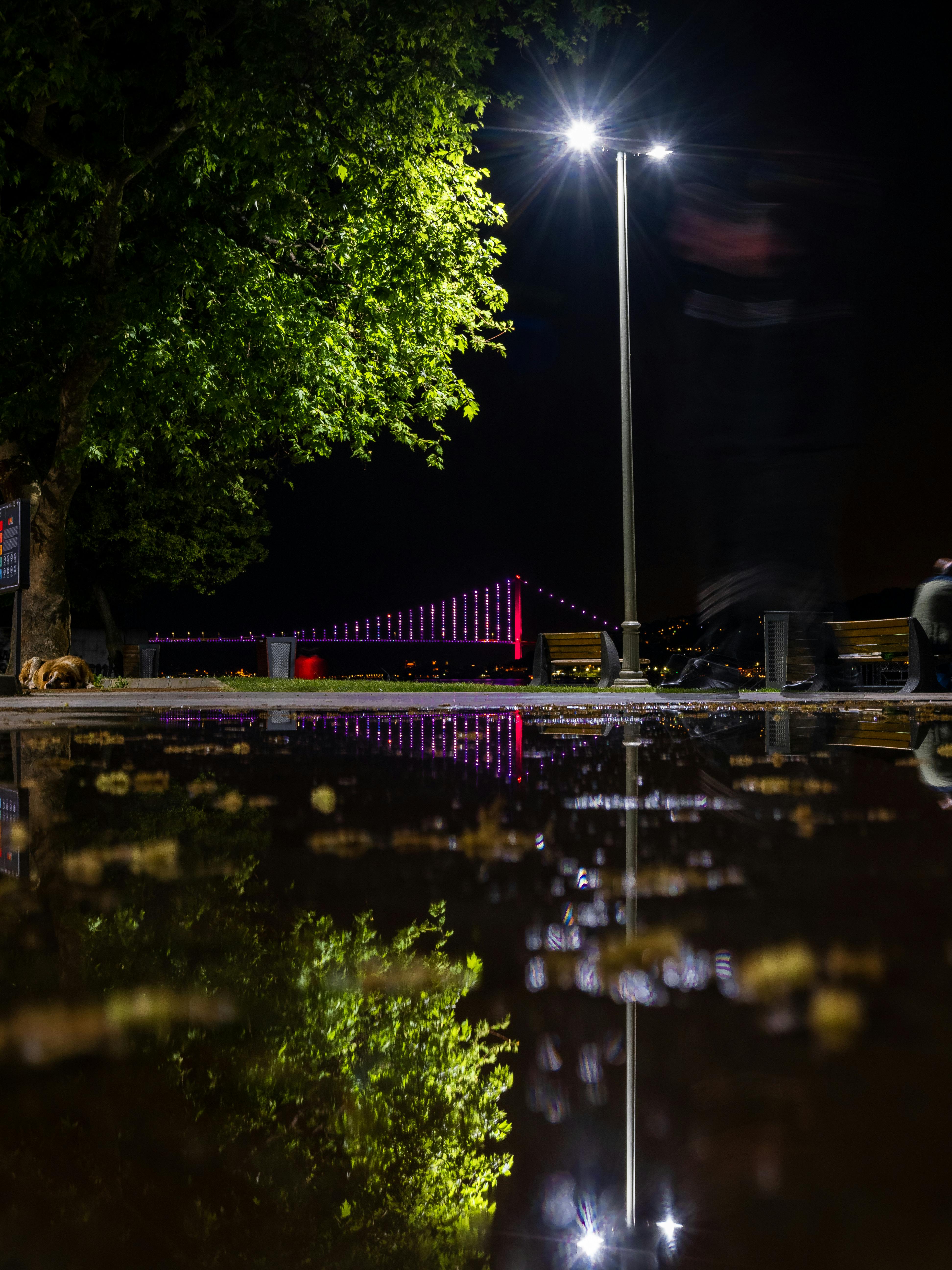 People Walking on Sidewalk during Night Time · Free Stock Photo