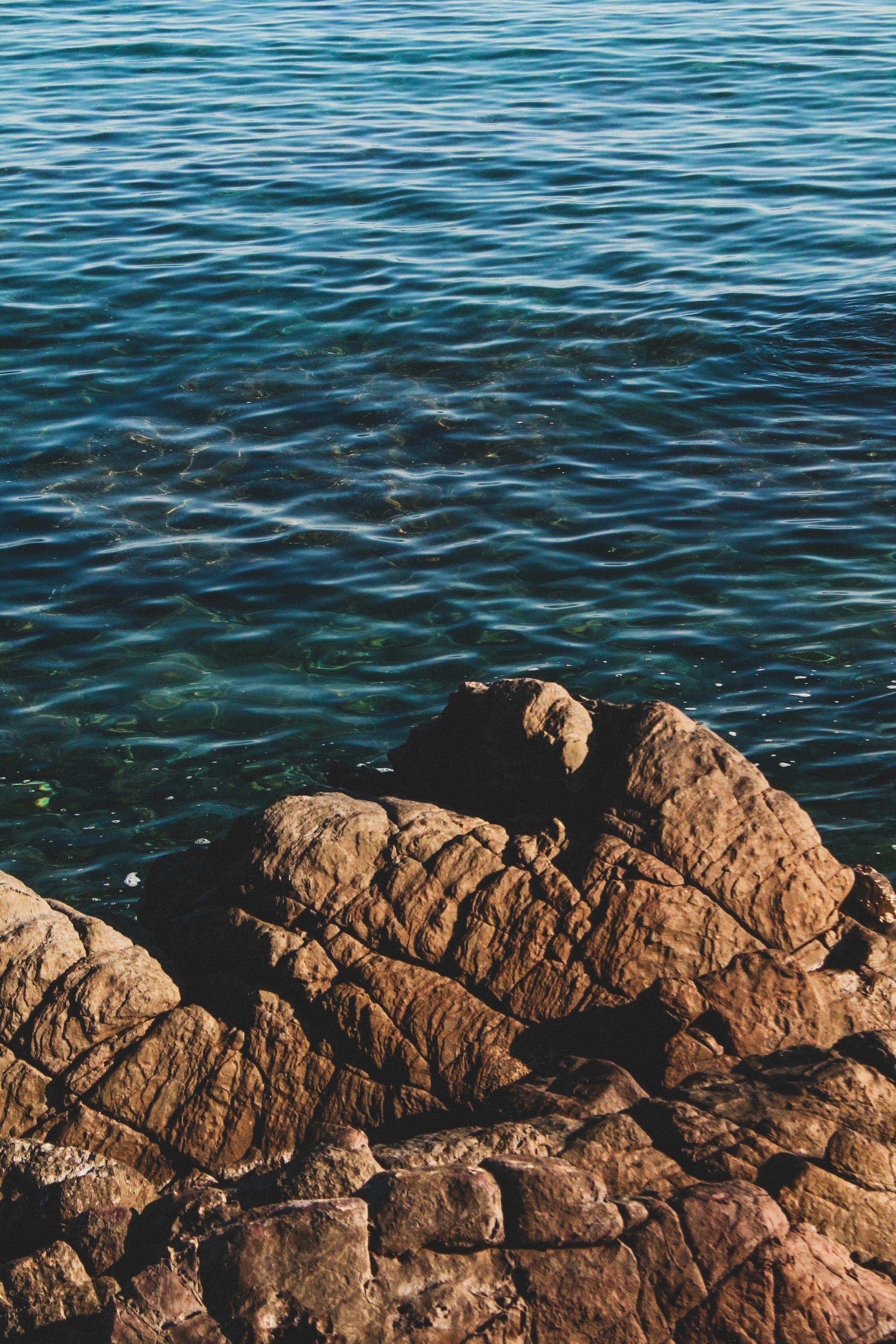 Rocks on the Sea · Free Stock Photo