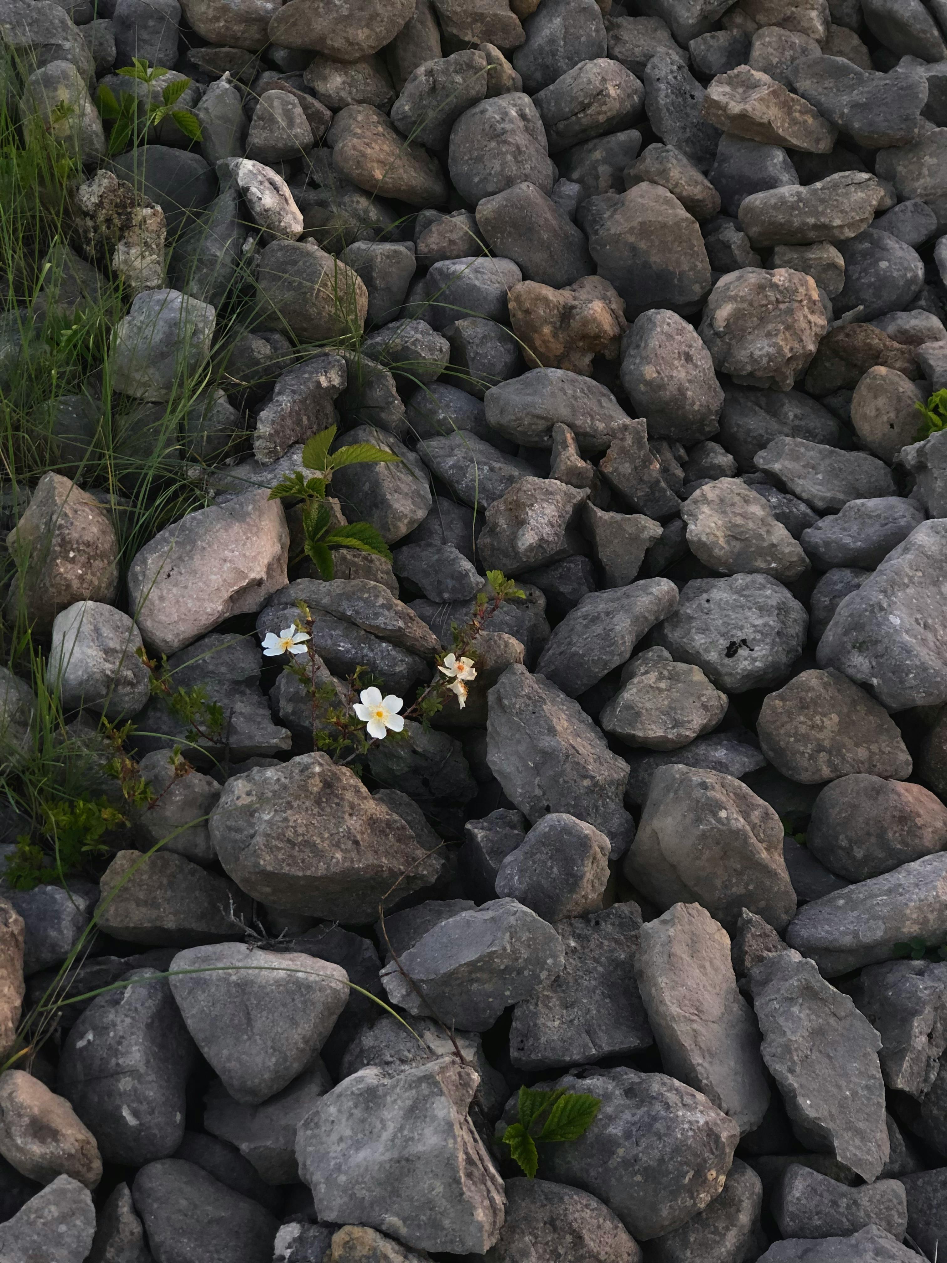 Close-Up Shot of Gray Rocks · Free Stock Photo
