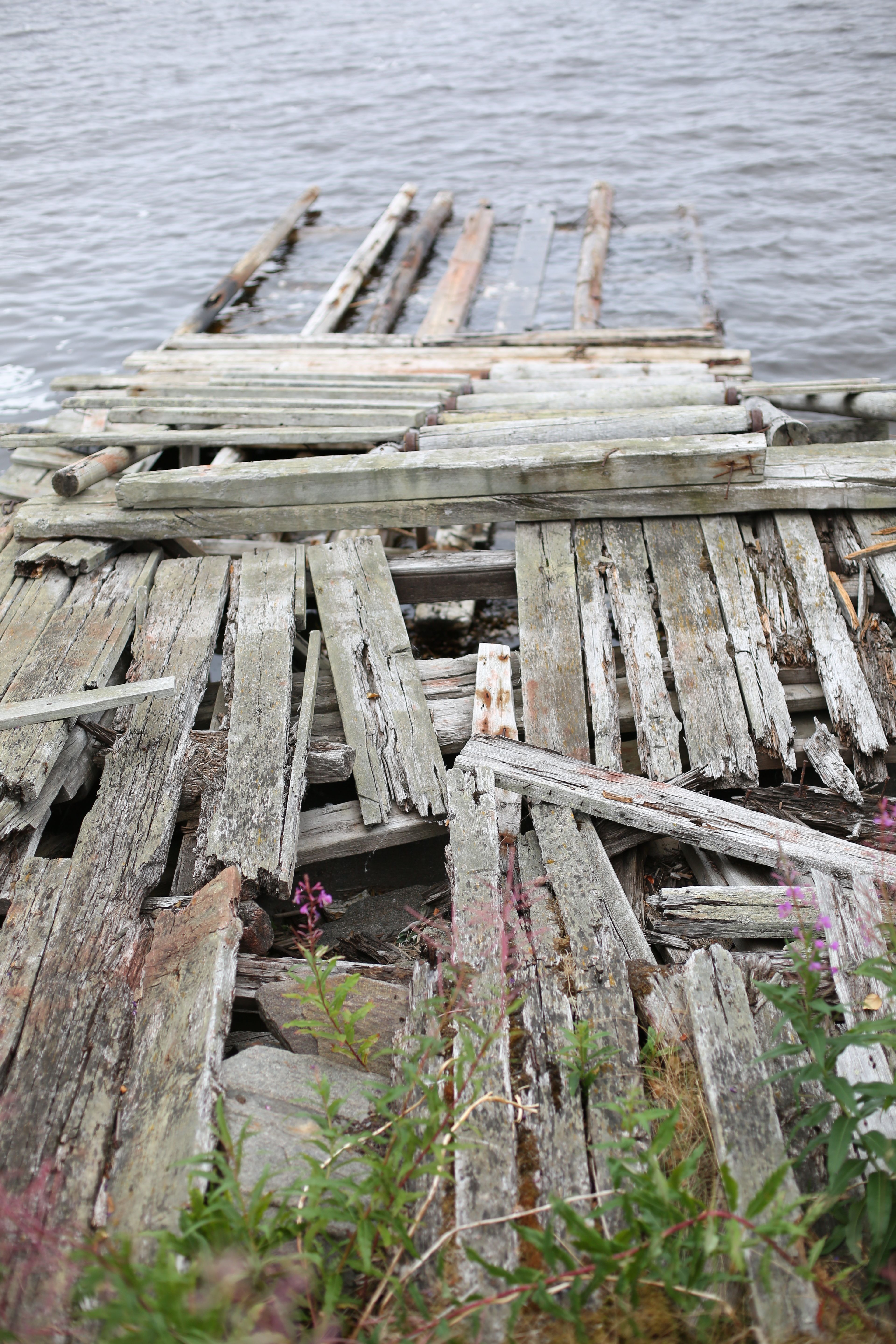 Damaged Planks near Water · Free Stock Photo