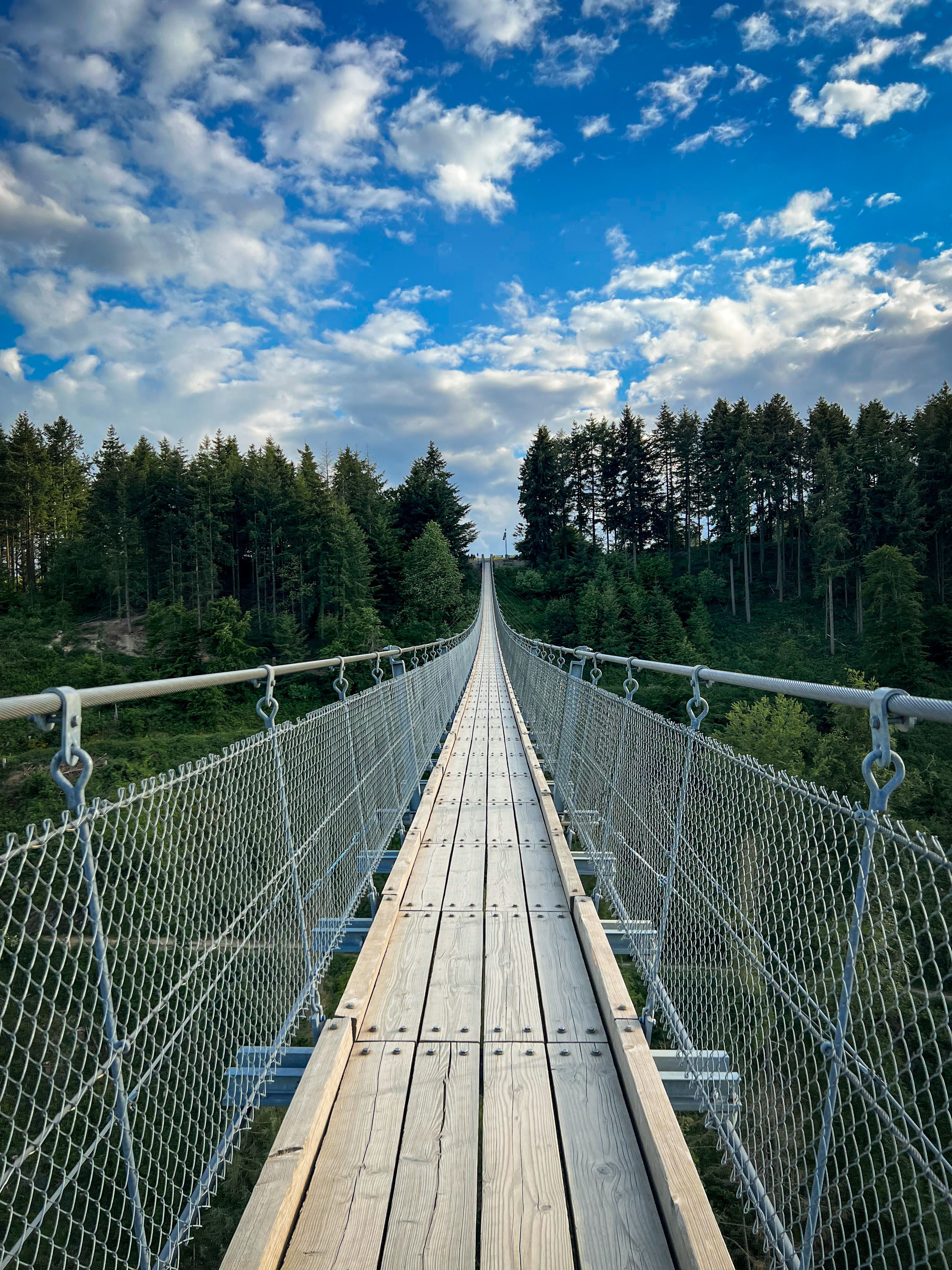 A Hanging Bridge in the Forest · Free Stock Photo