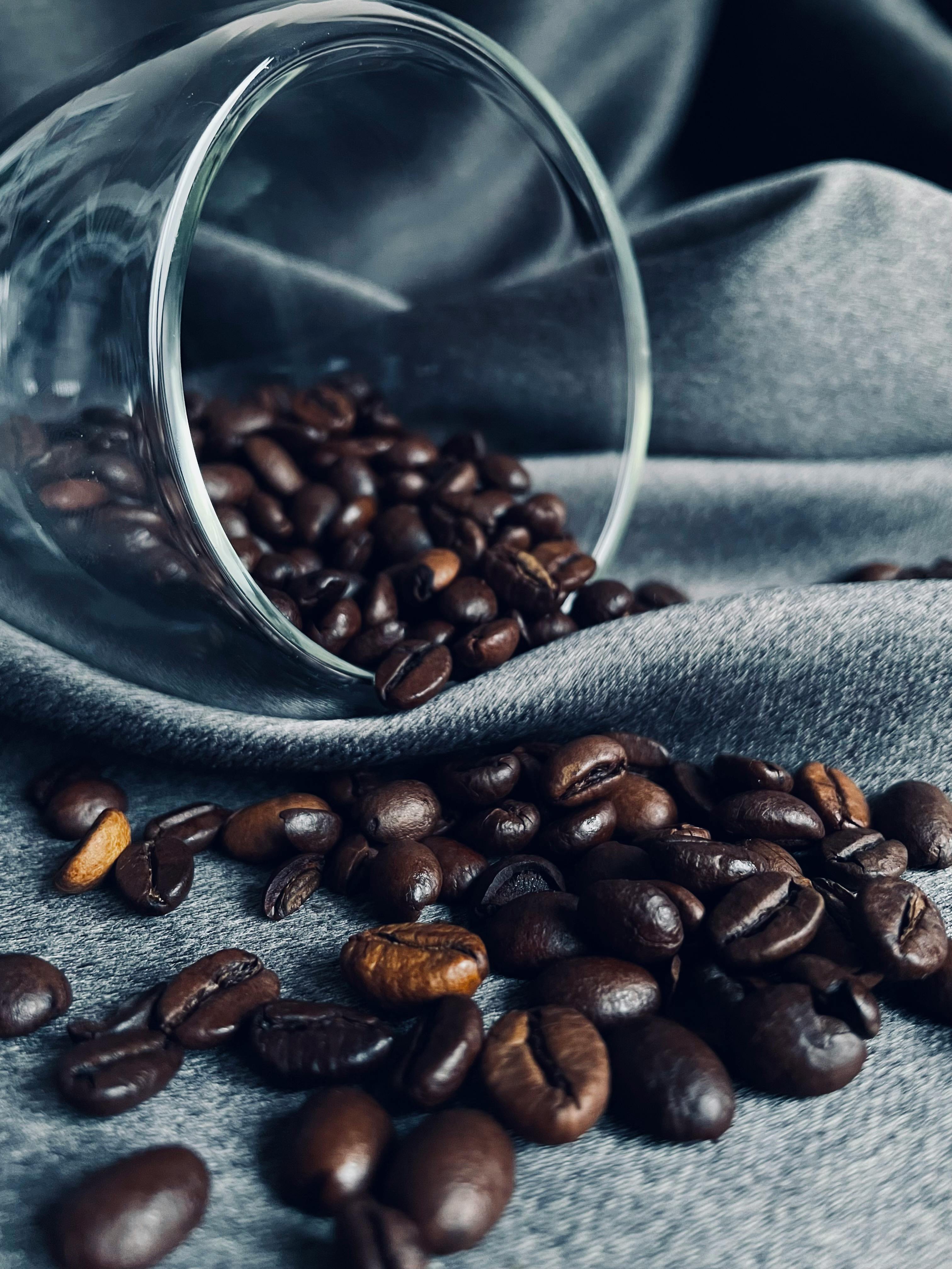 Coffee Beans on Clear Plastic Container · Free Stock Photo