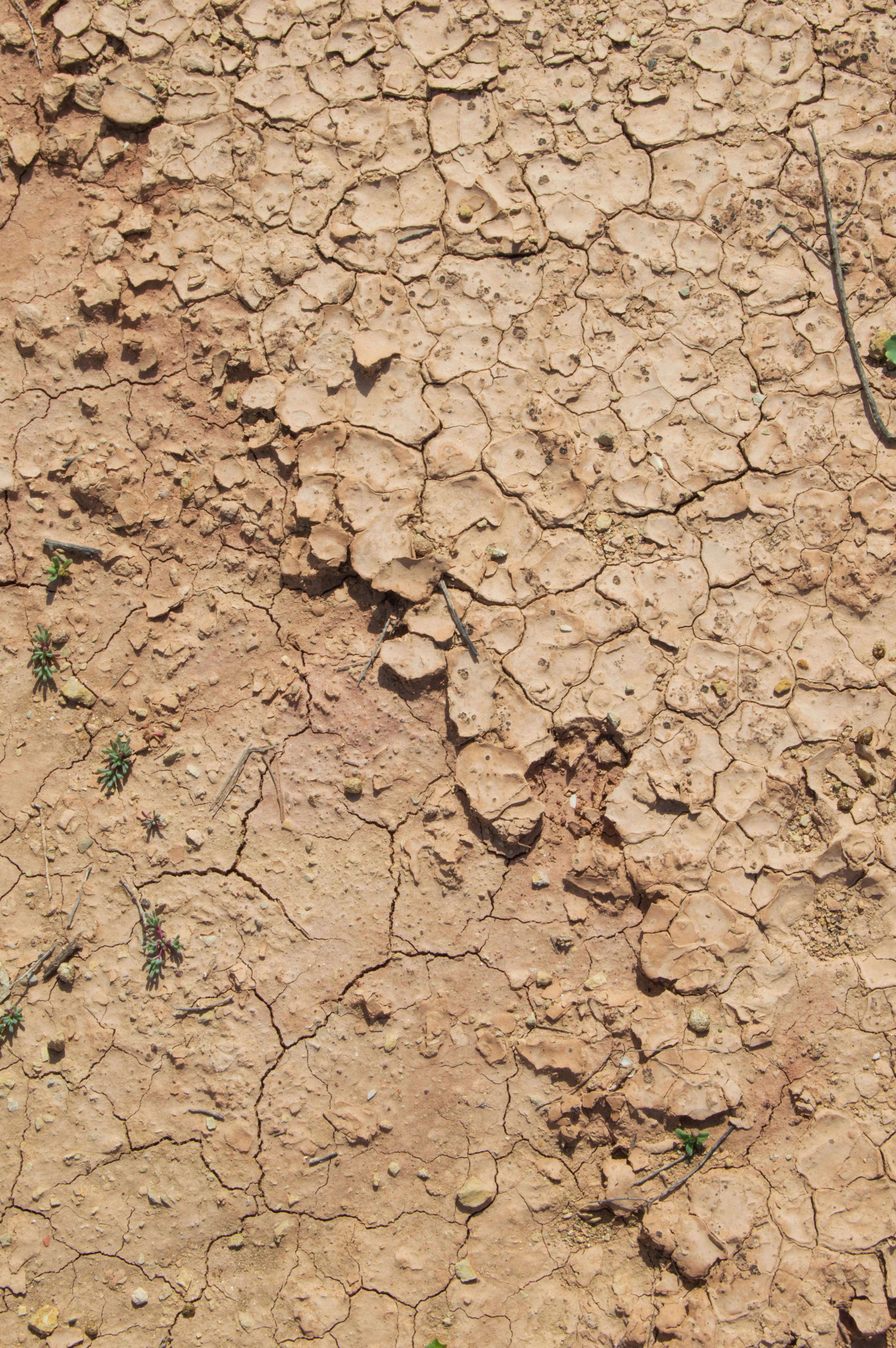 Biological Soil Crust Photos, Download The BEST Free Biological Soil ...