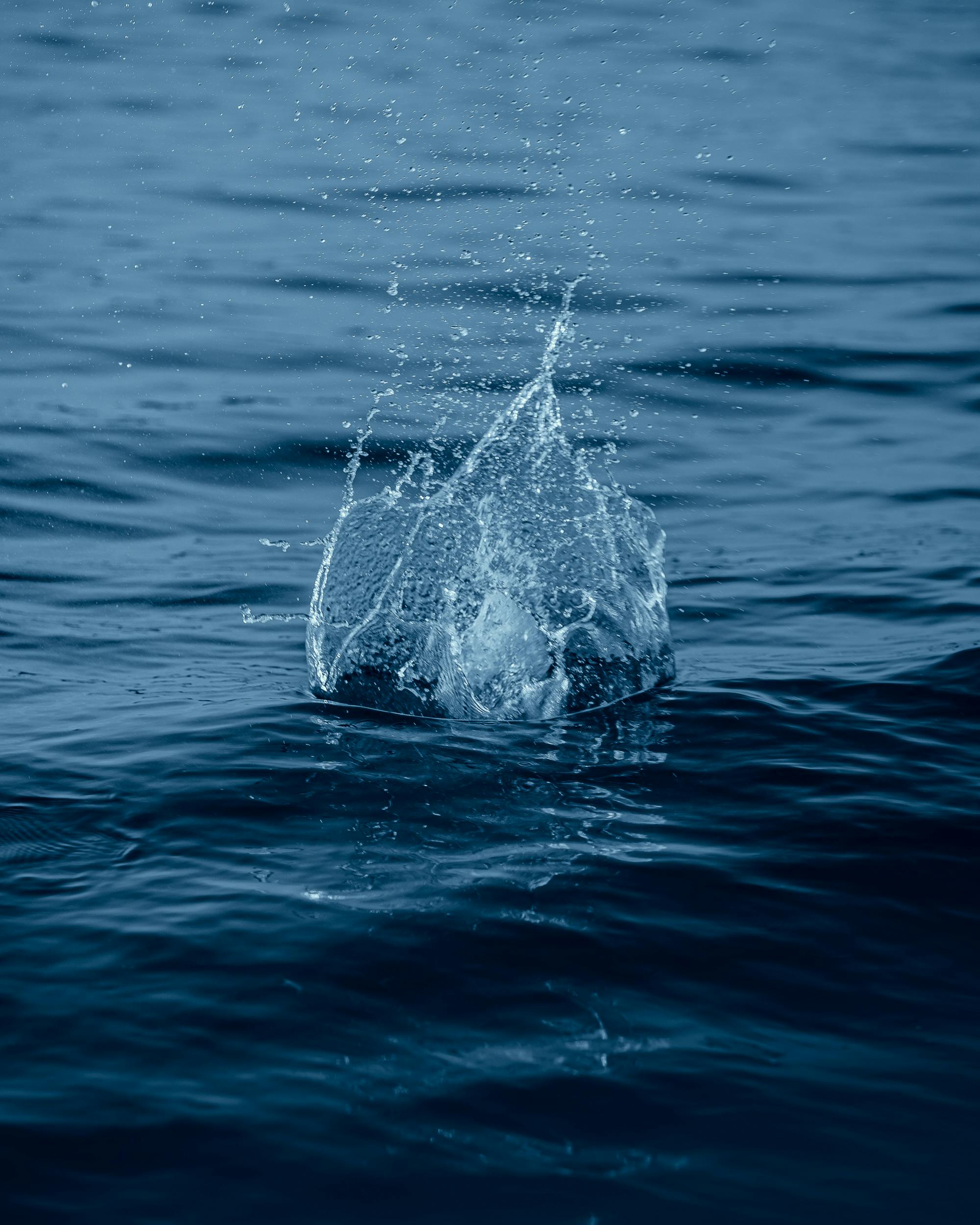 Smoothie Splash Photos, Download Free Smoothie Splash Stock Photos & HD ...